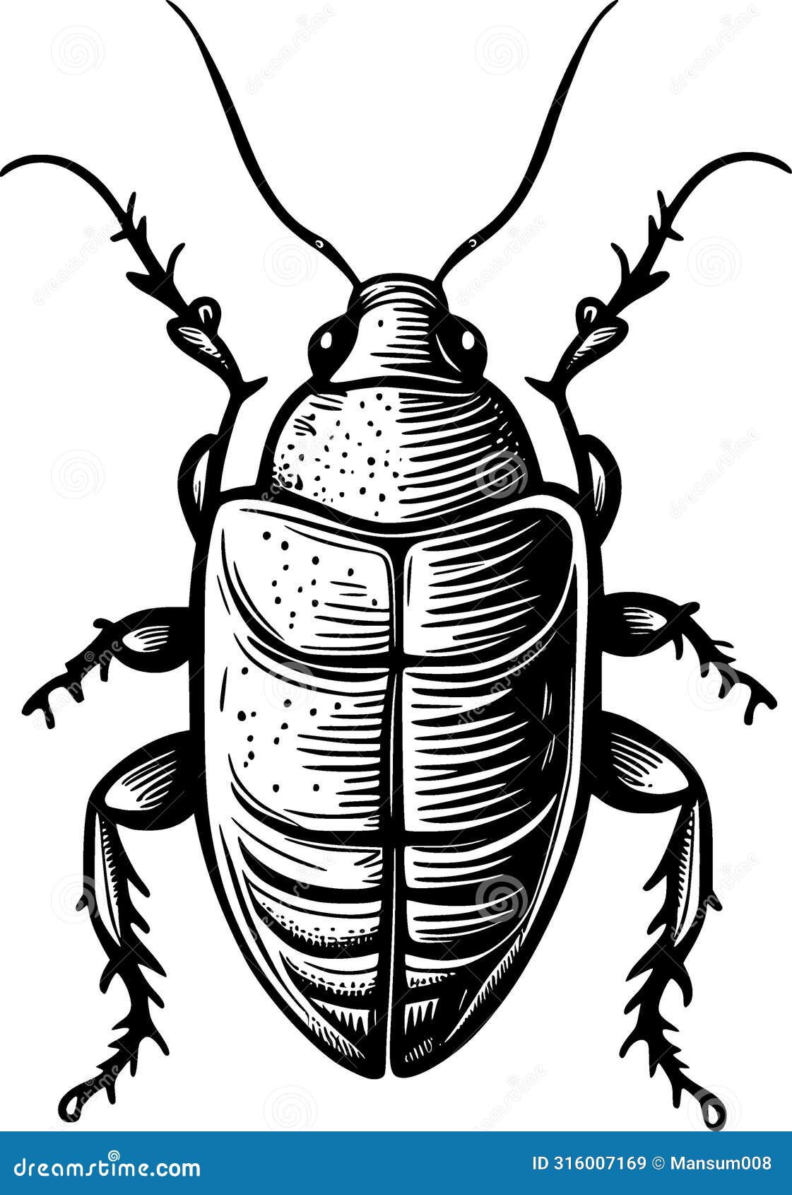 Black Cockroach Cartoon Illustration Stock Illustration - Illustration ...