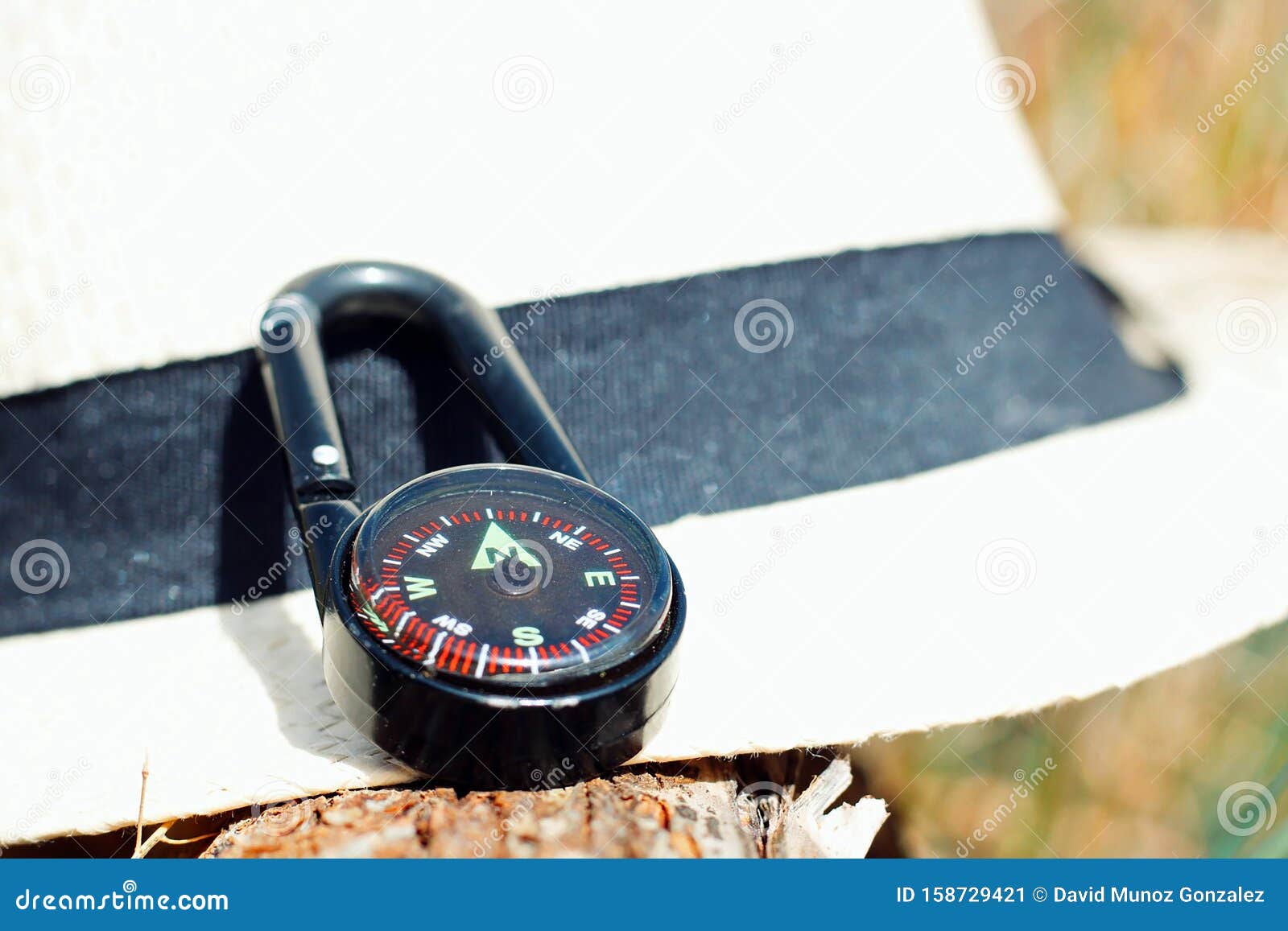 Black Compass Showing the Direction in the Forest Stock Image - Image ...