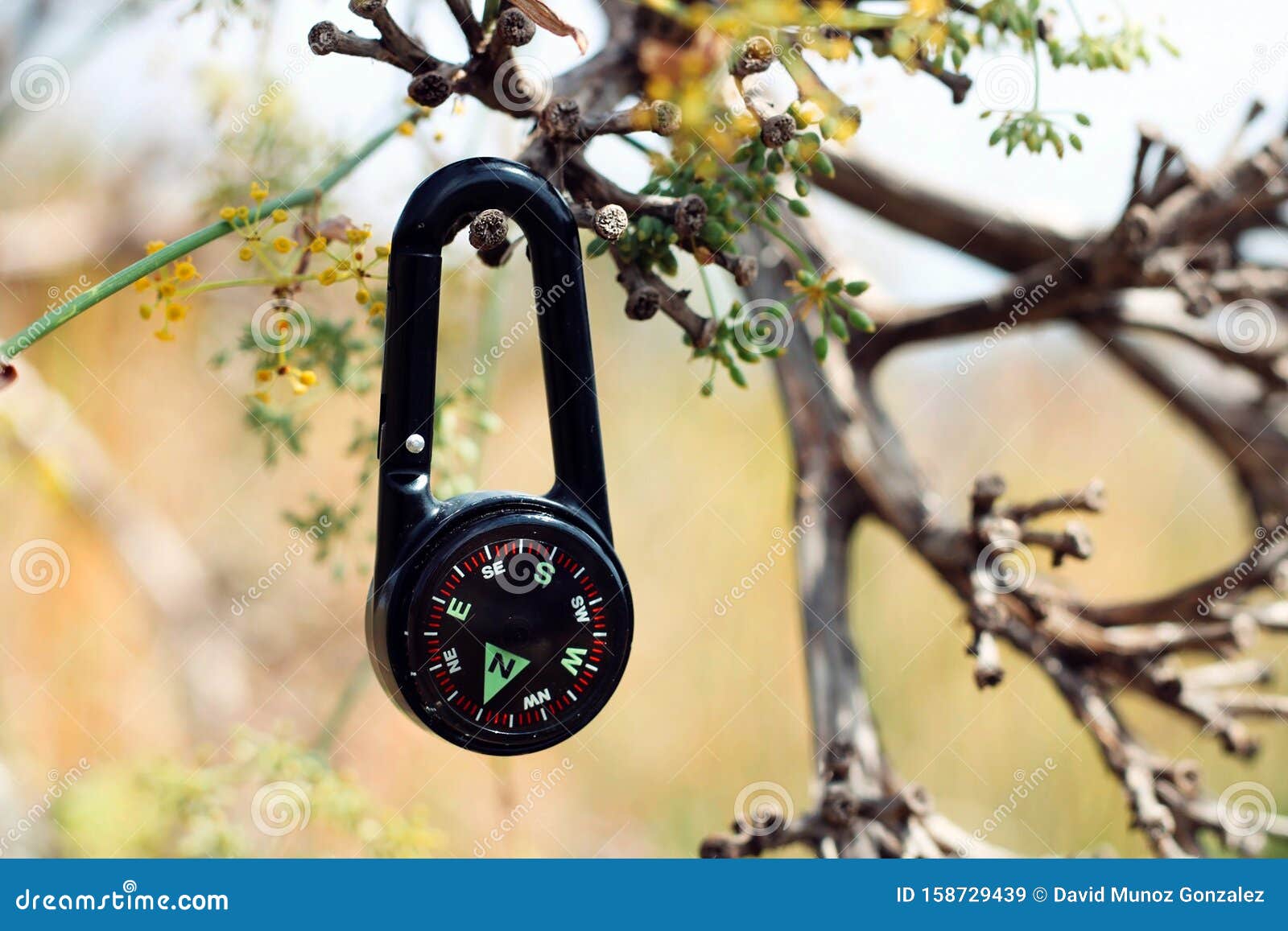 A Compass Showing The Direction Point To North, Some Use For Fengshui ...