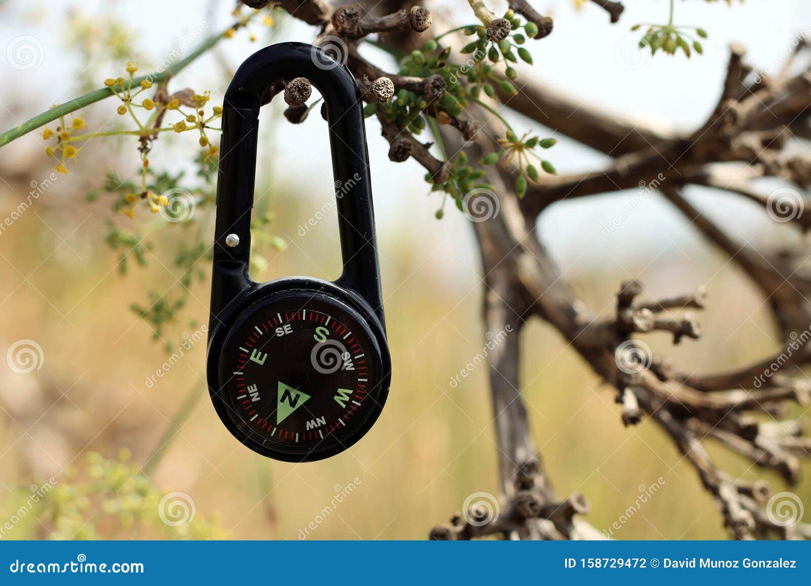 A Compass Showing The Direction Point To North, Some Use For Fengshui ...