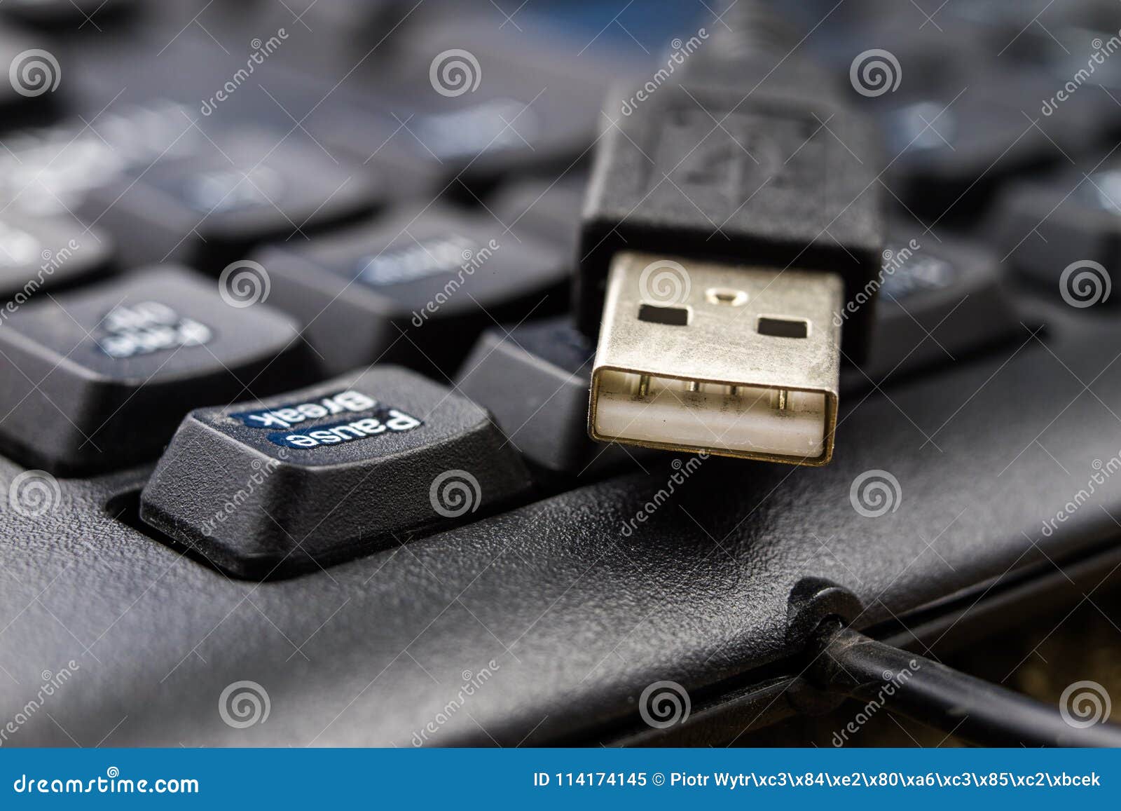 A Black Computer Keyboard and an Enlarged USB Port. Computer ...