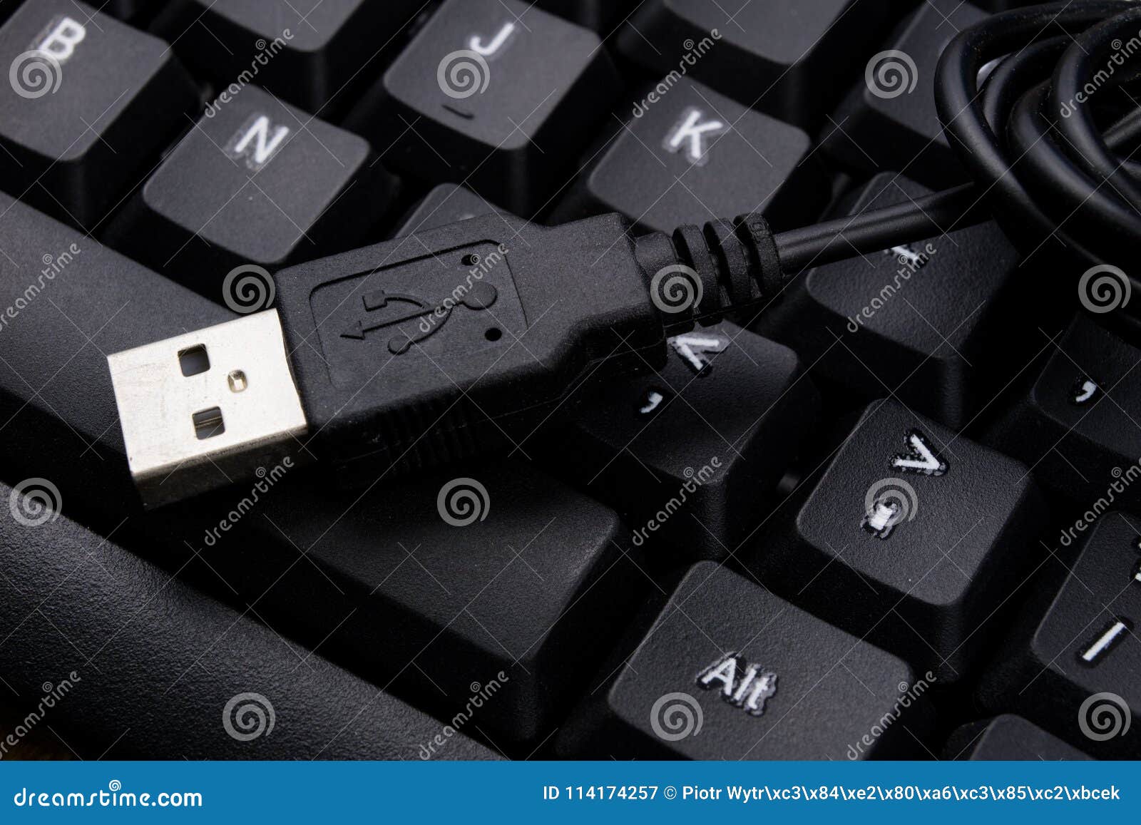 A Black Computer Keyboard and an Enlarged USB Port. Computer ...