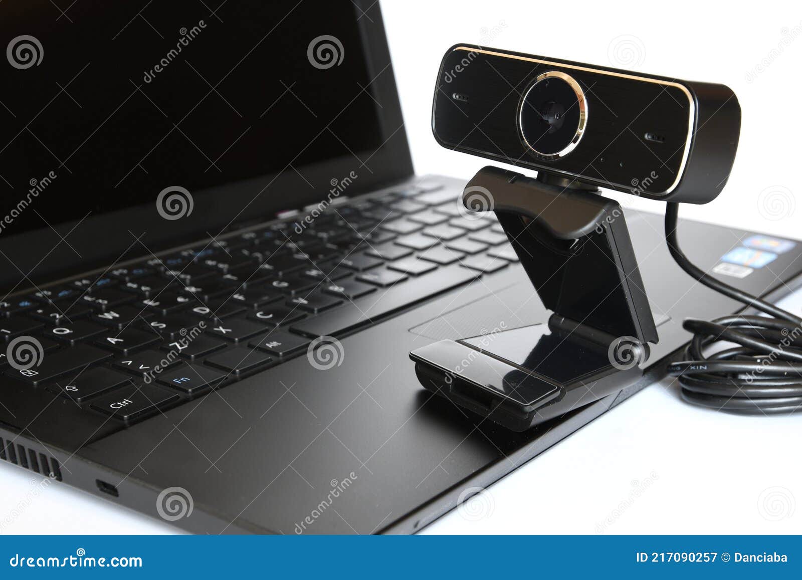 Computer Webcam Screen View, Millenial Businesspeople Or Students ...