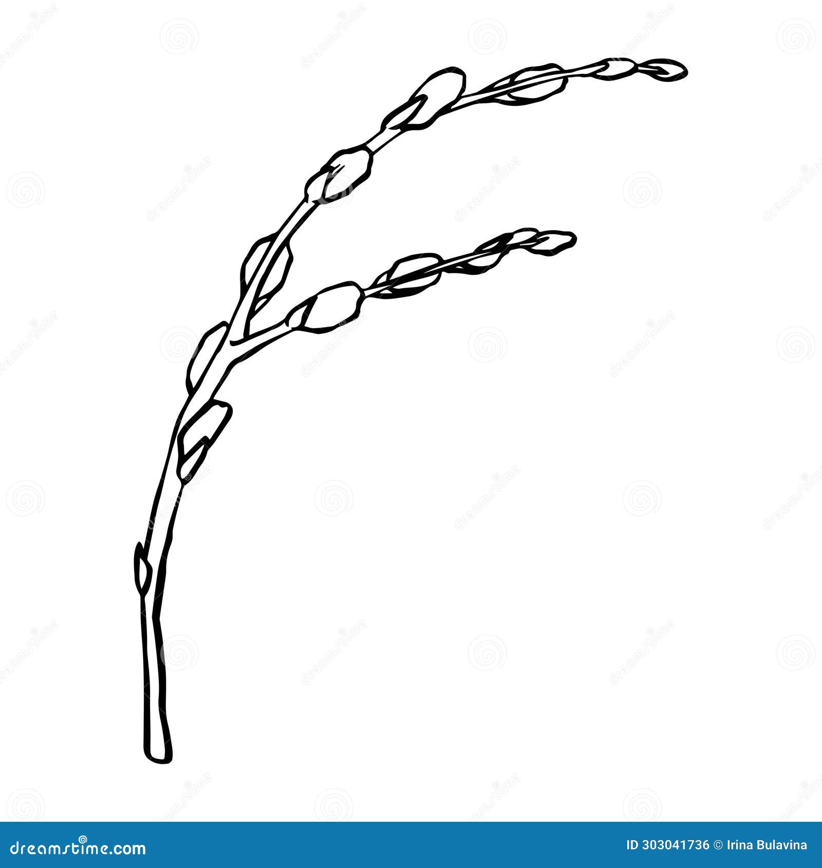 Silhouette Of A Willow Tree With Drooping Branches In A Minimalist ...