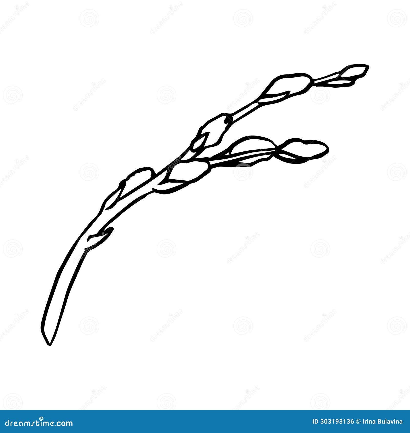 Silhouette Of A Willow Tree With Drooping Branches In A Minimalist ...