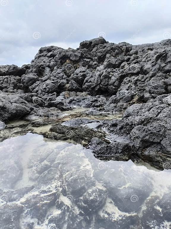 Black Coral Reefs on the Beach Stock Photo - Image of ridge, black ...