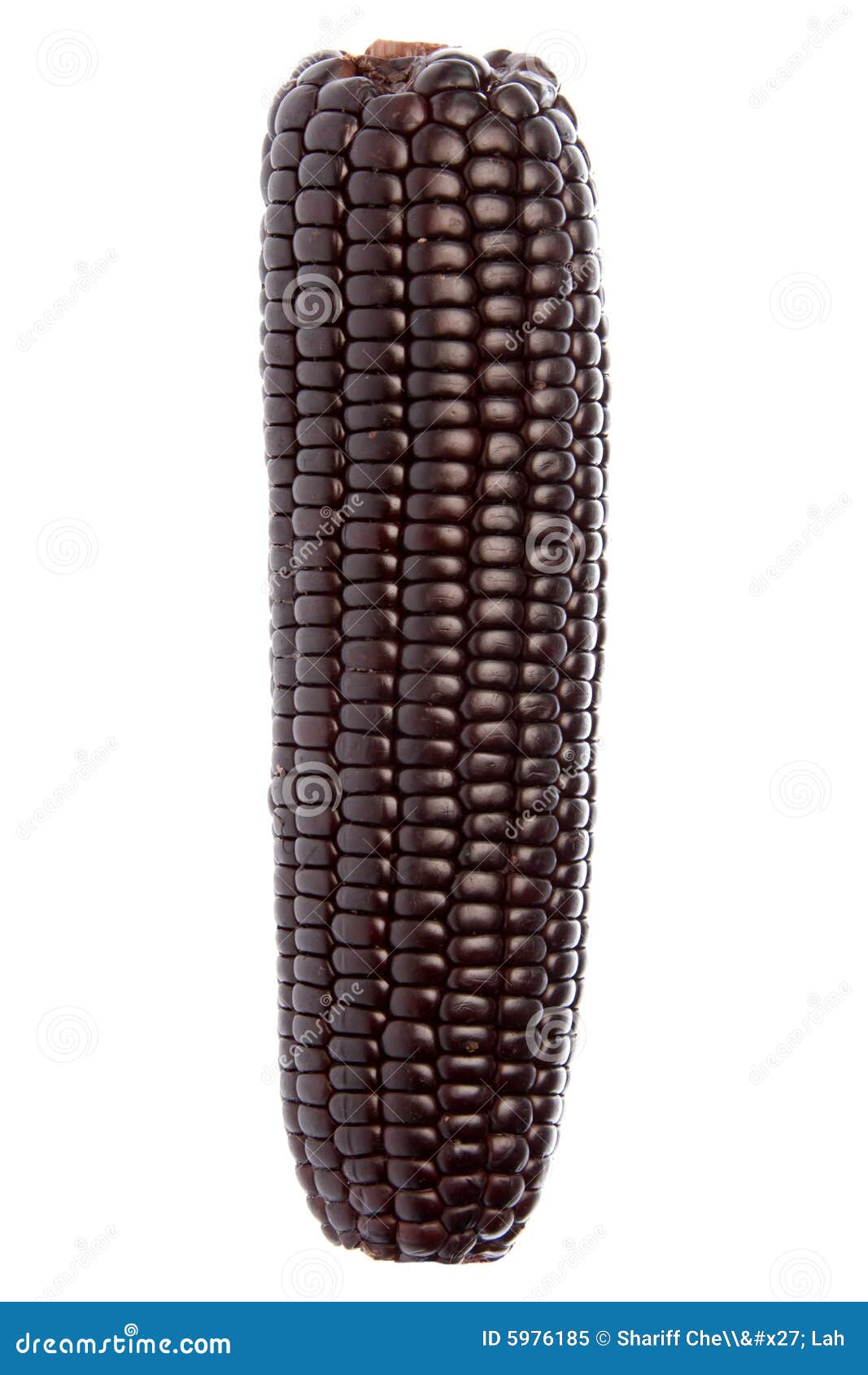 Black Corn stock image. Image of produce, fresh, isolated - 5976185