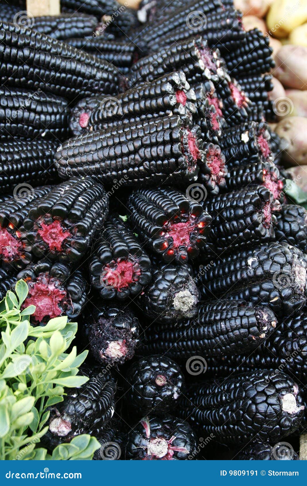 4,331 Black Corn Cob Stock Photos - Free & Royalty-Free Stock Photos ...
