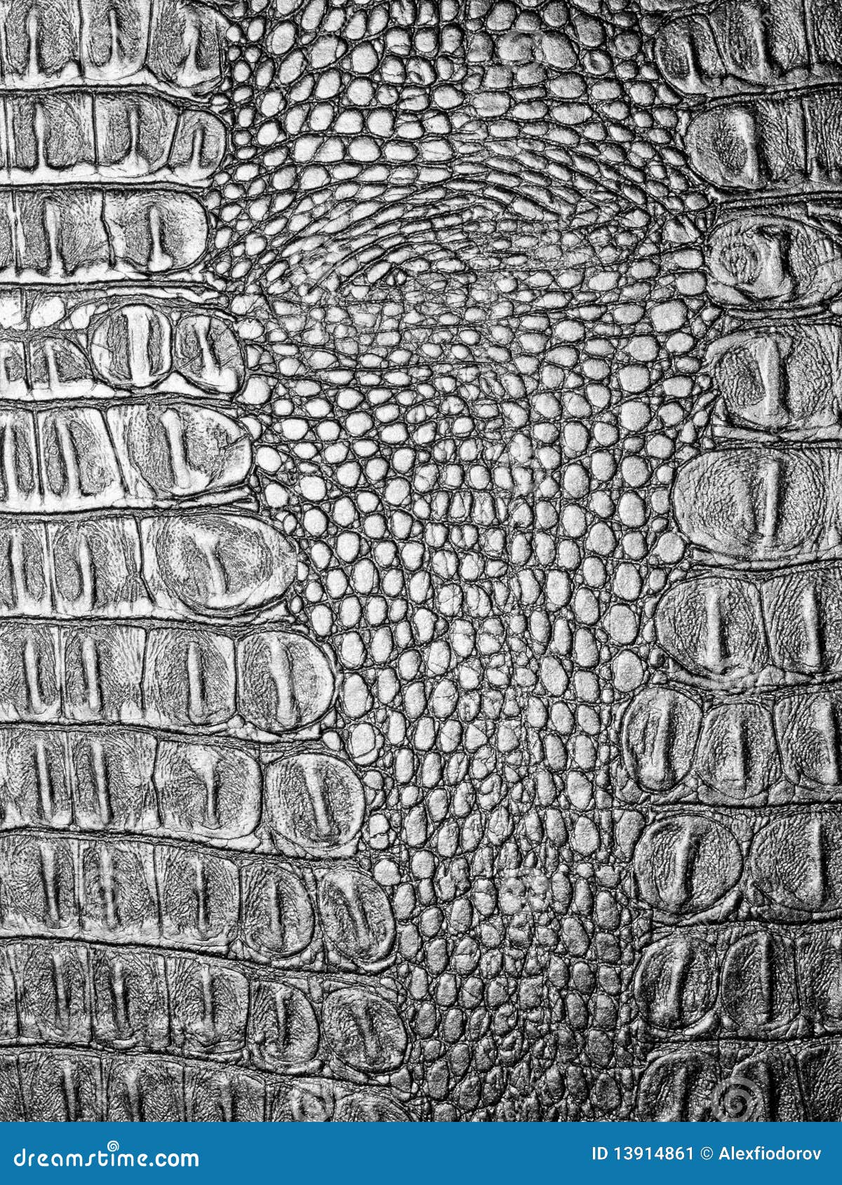 Crocodile Leather Texture. Stock Image | CartoonDealer.com #198195937