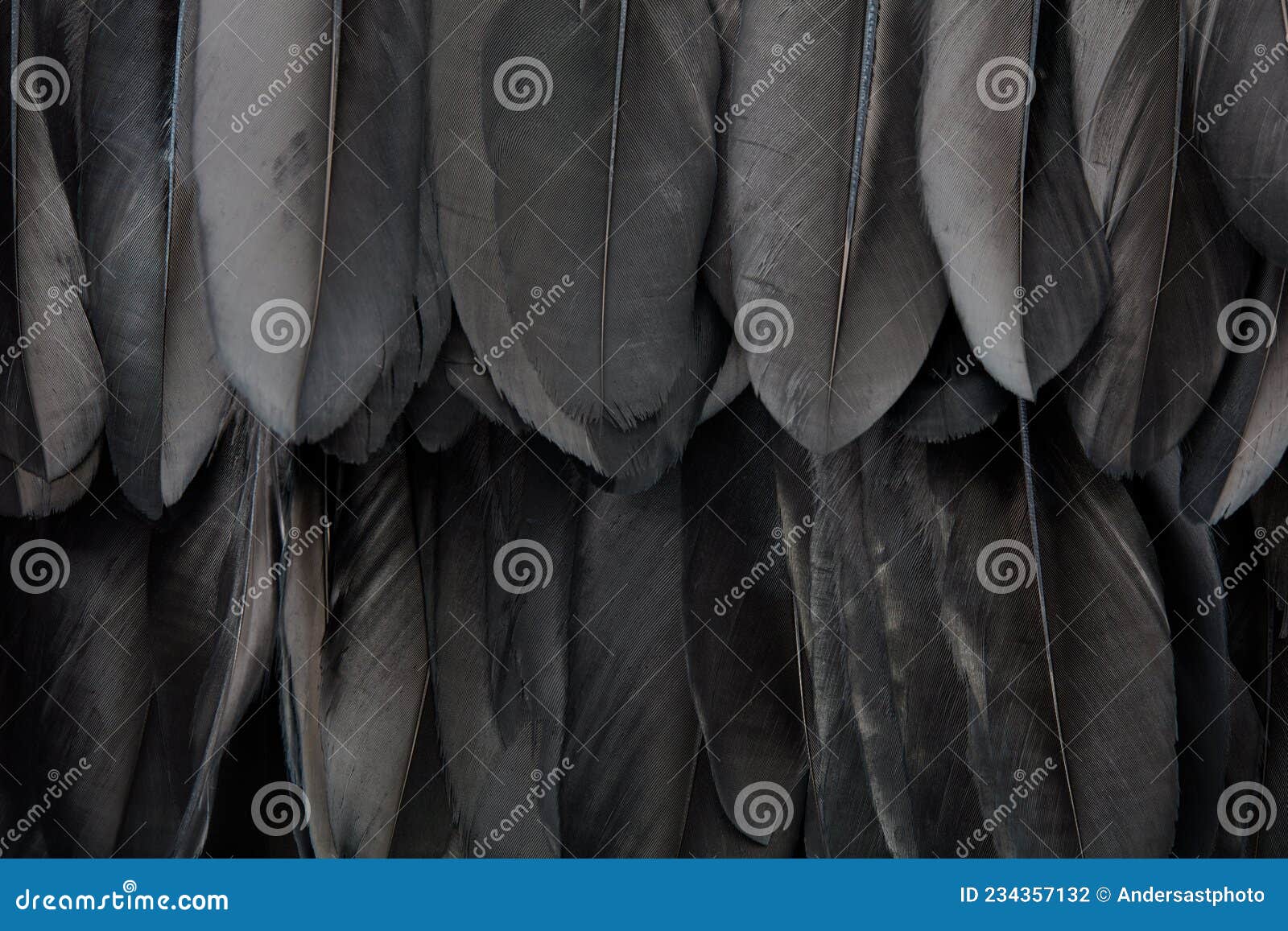 Black Crow Feathers Texture Background Stock Photo - Image of ...