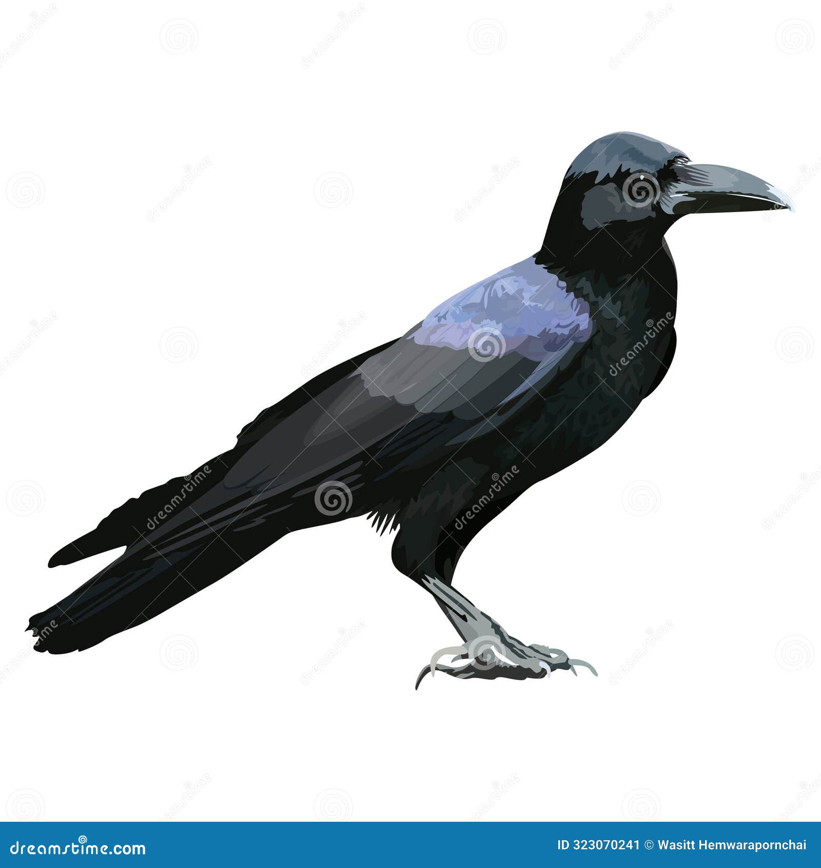 Black Crow Isolated Side View Graphic Illustrated Stock Vector ...