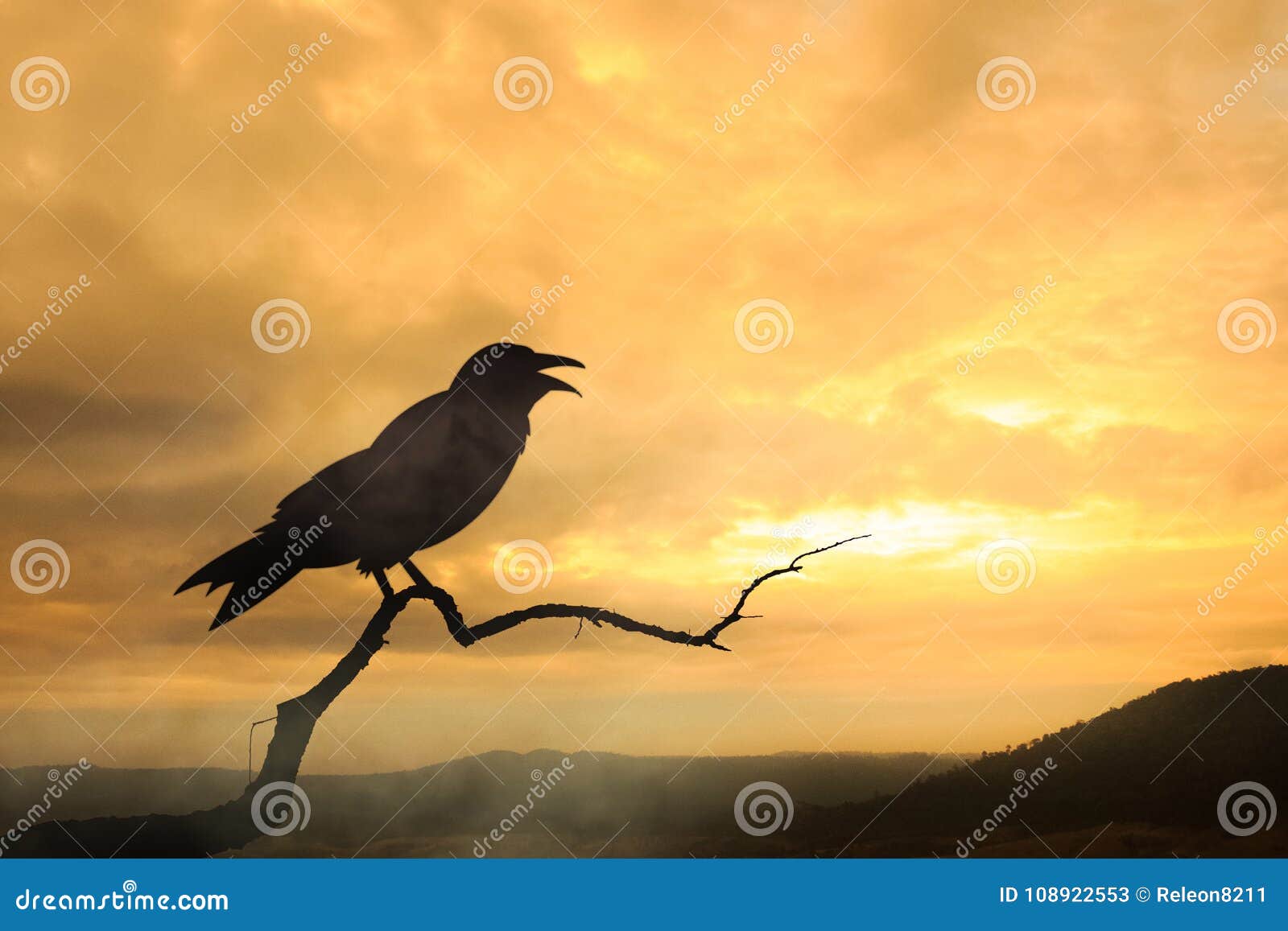 Black crow and sunset stock image. Image of nature, isolated - 108922553
