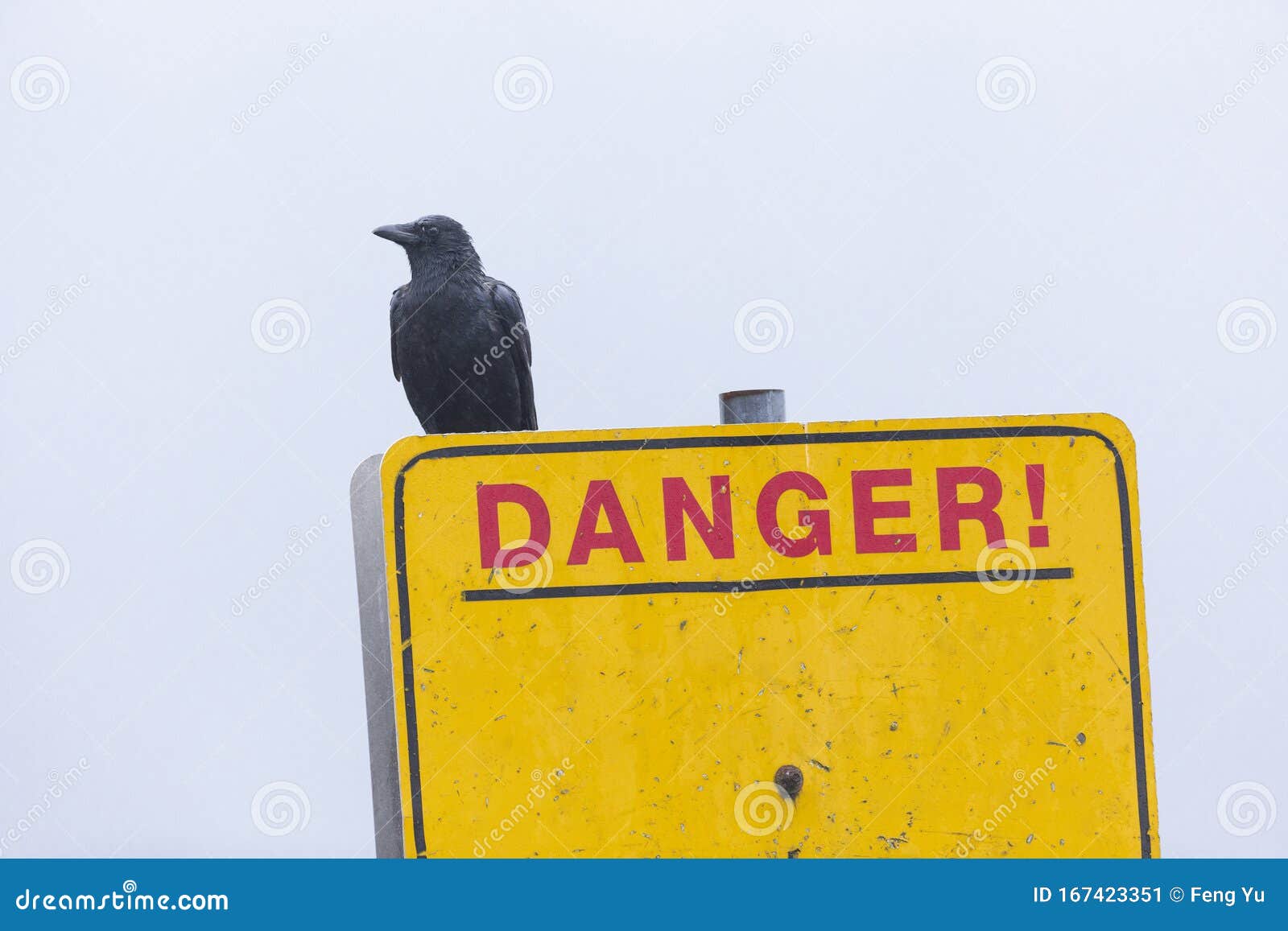 Black Crow and Warning Sign Stock Image - Image of columbia, danger ...