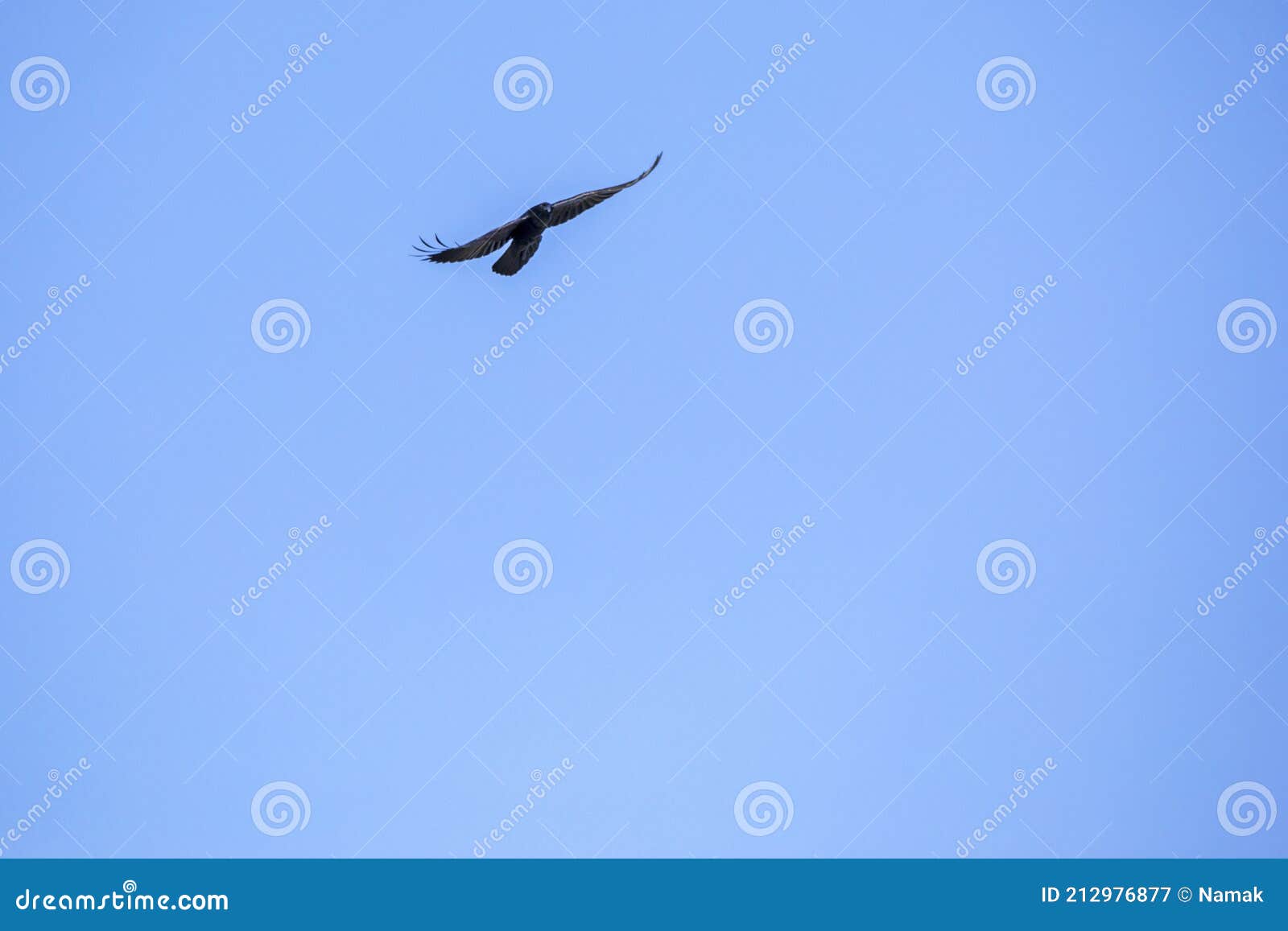 Black Crows Circling in the Sky, Horizontal Stock Image - Image of high ...