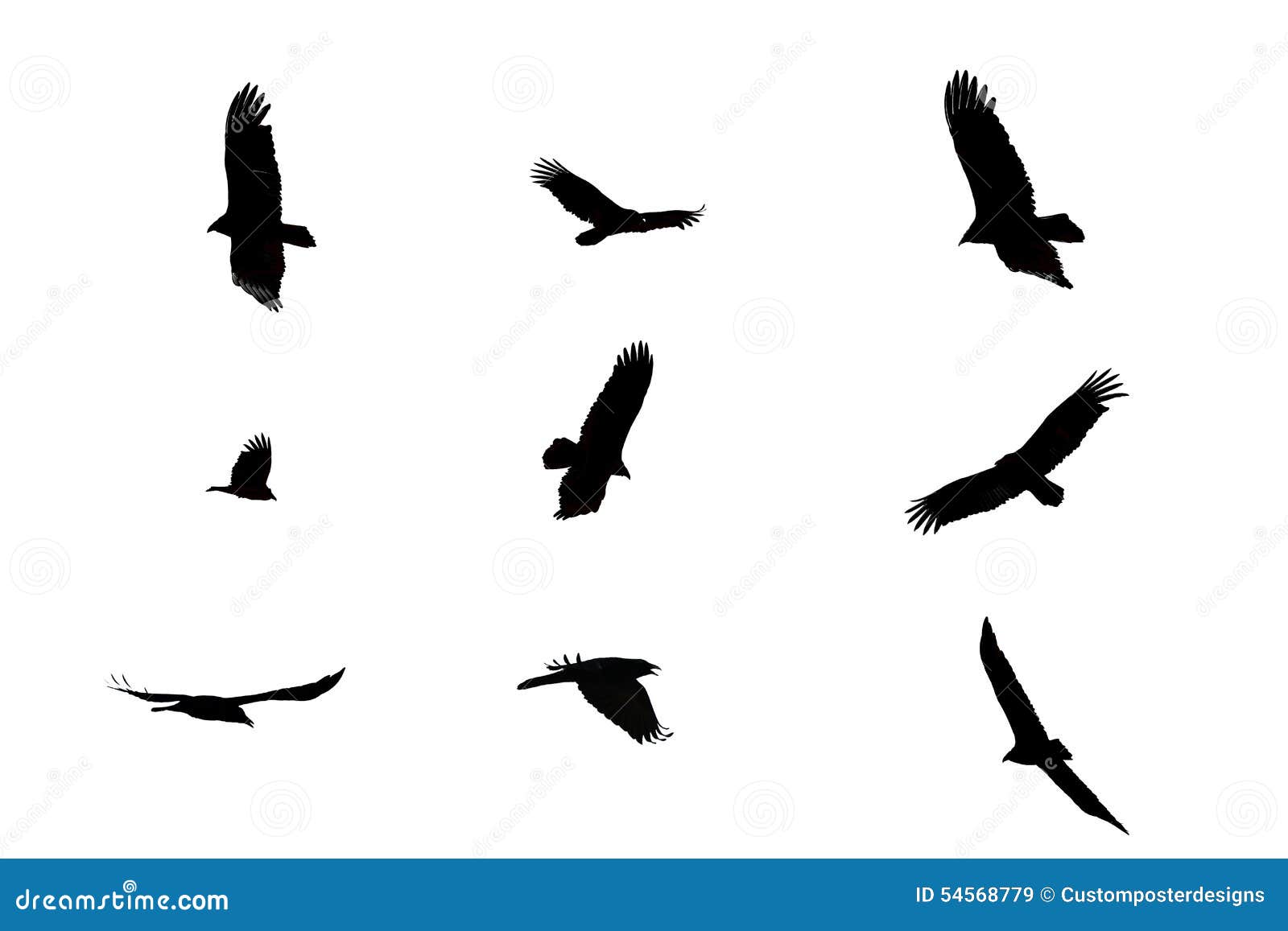 Two Crows Cartoon Vector | CartoonDealer.com #16760491