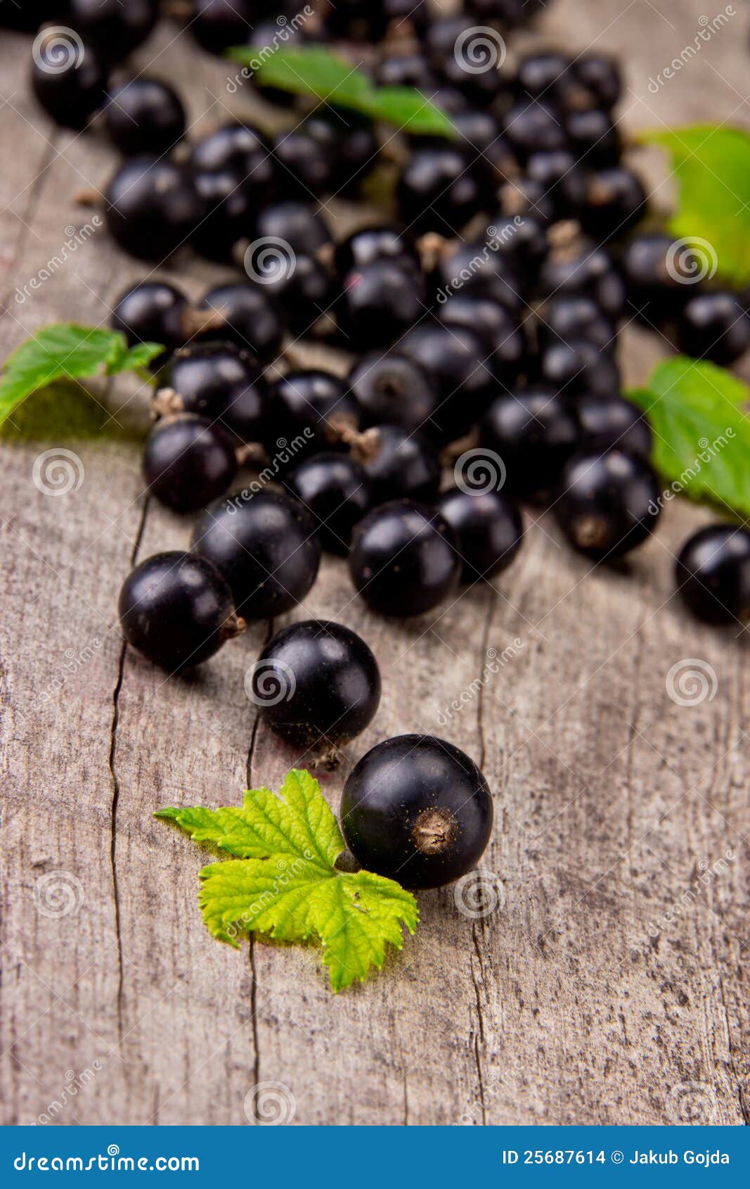 Black currant stock photo. Image of nature, health, closeup - 25687614