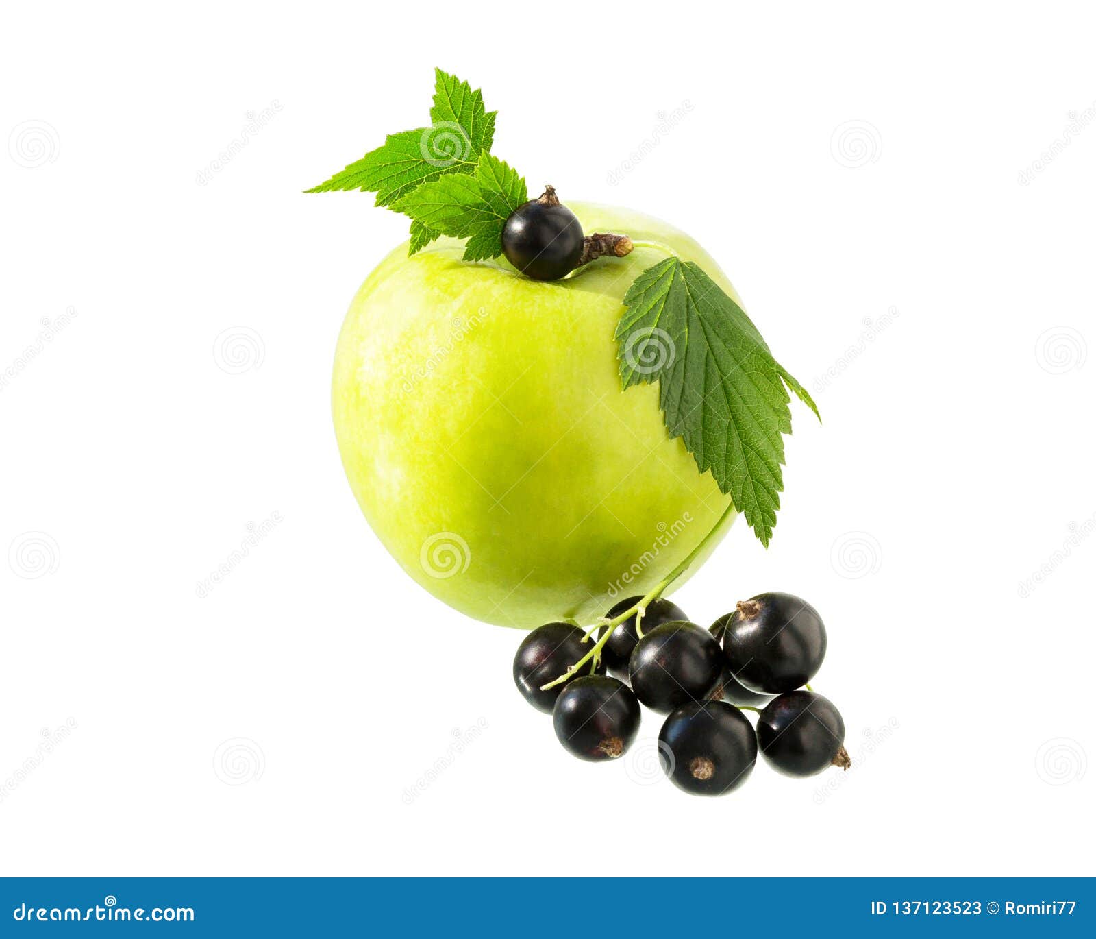 Black Currant and Apple with Currant Leaf Stock Image - Image of ...
