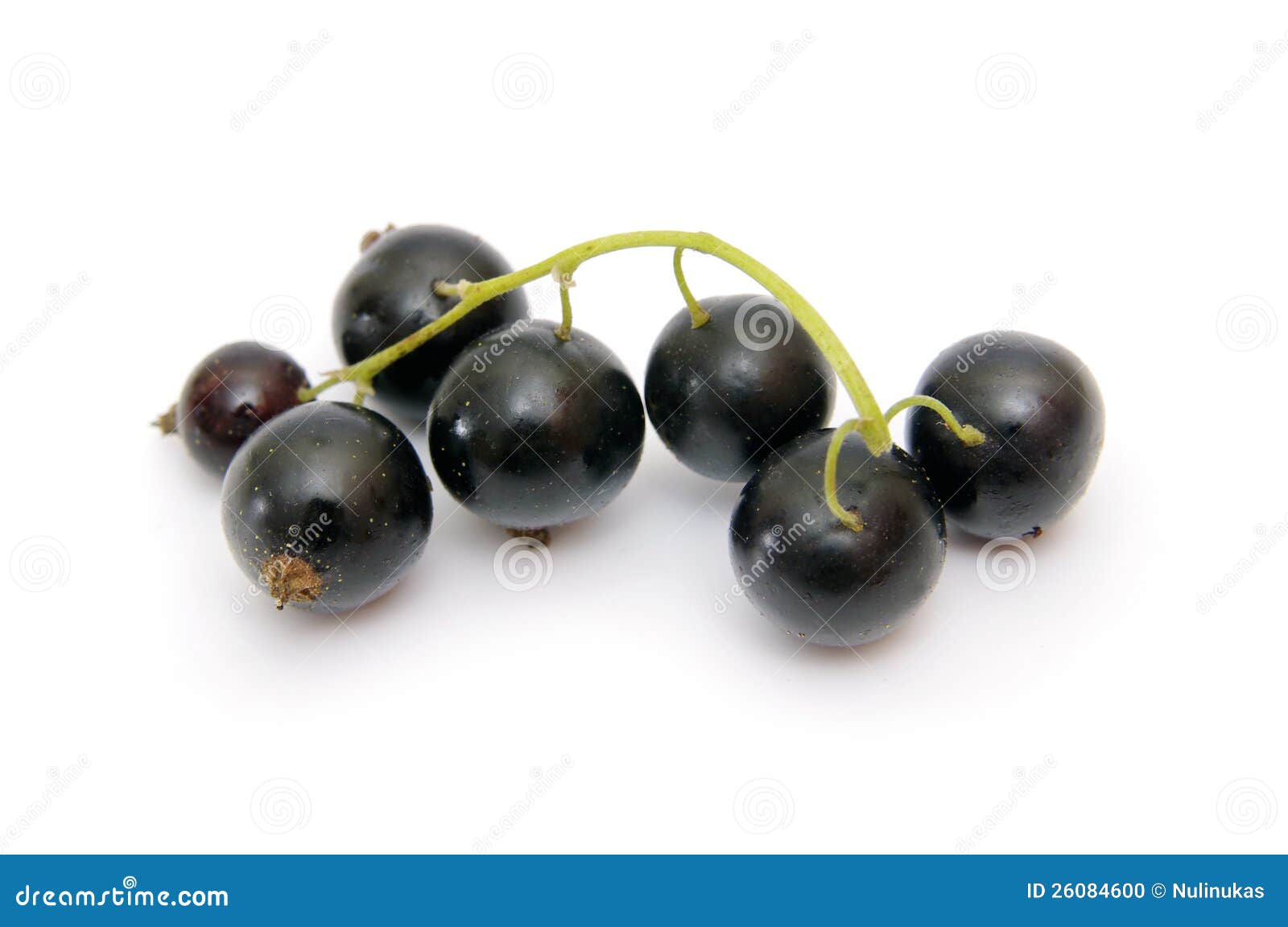 Black currant berries stock photo. Image of cluster, juice - 26084600