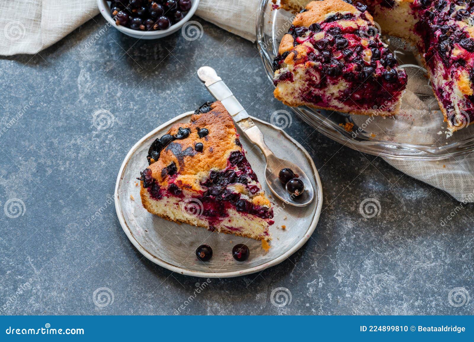 Black currant cake stock photo. Image of bake, currant - 224899810