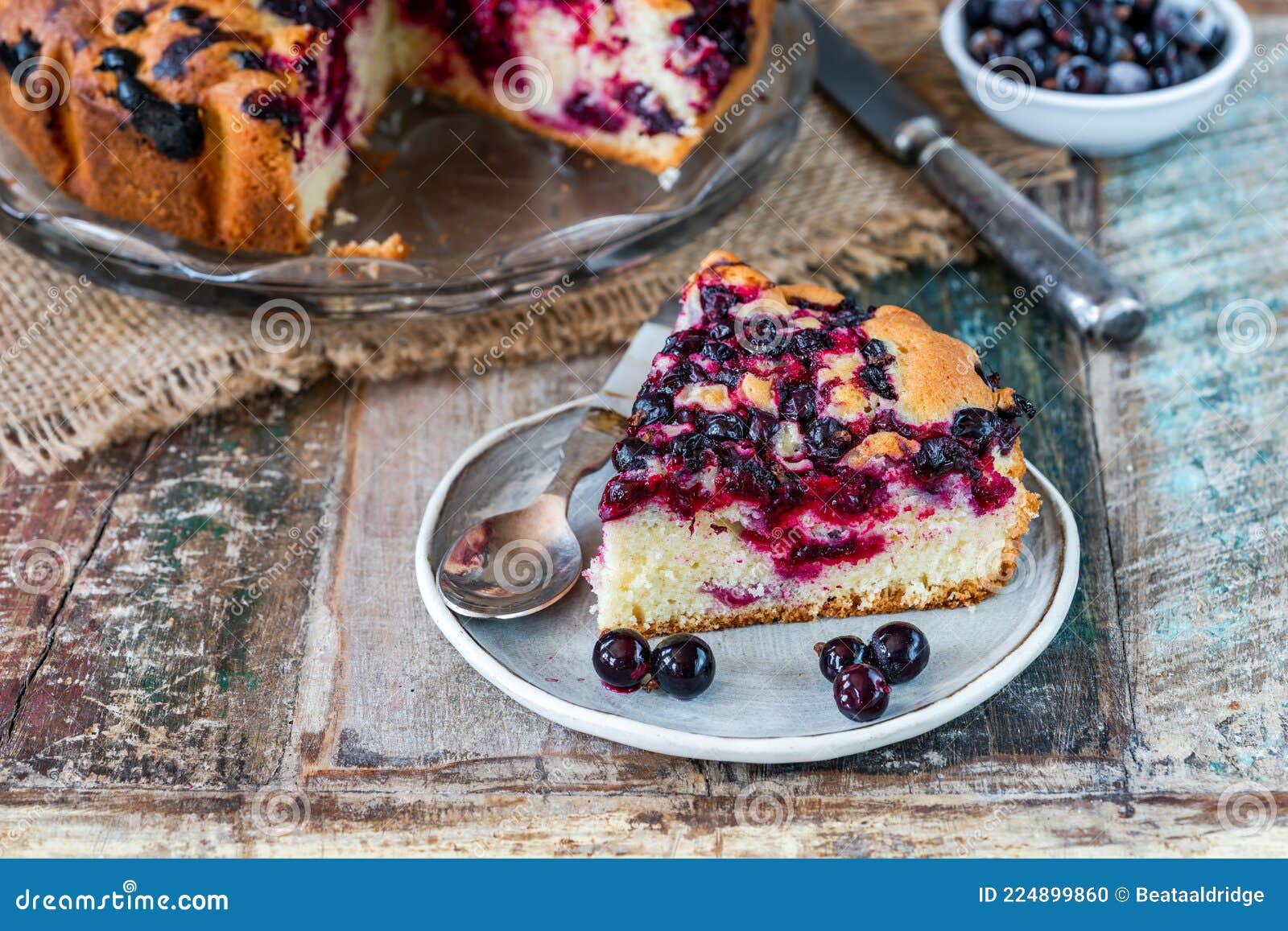 Black currant cake stock photo. Image of food, biscuit - 224899860