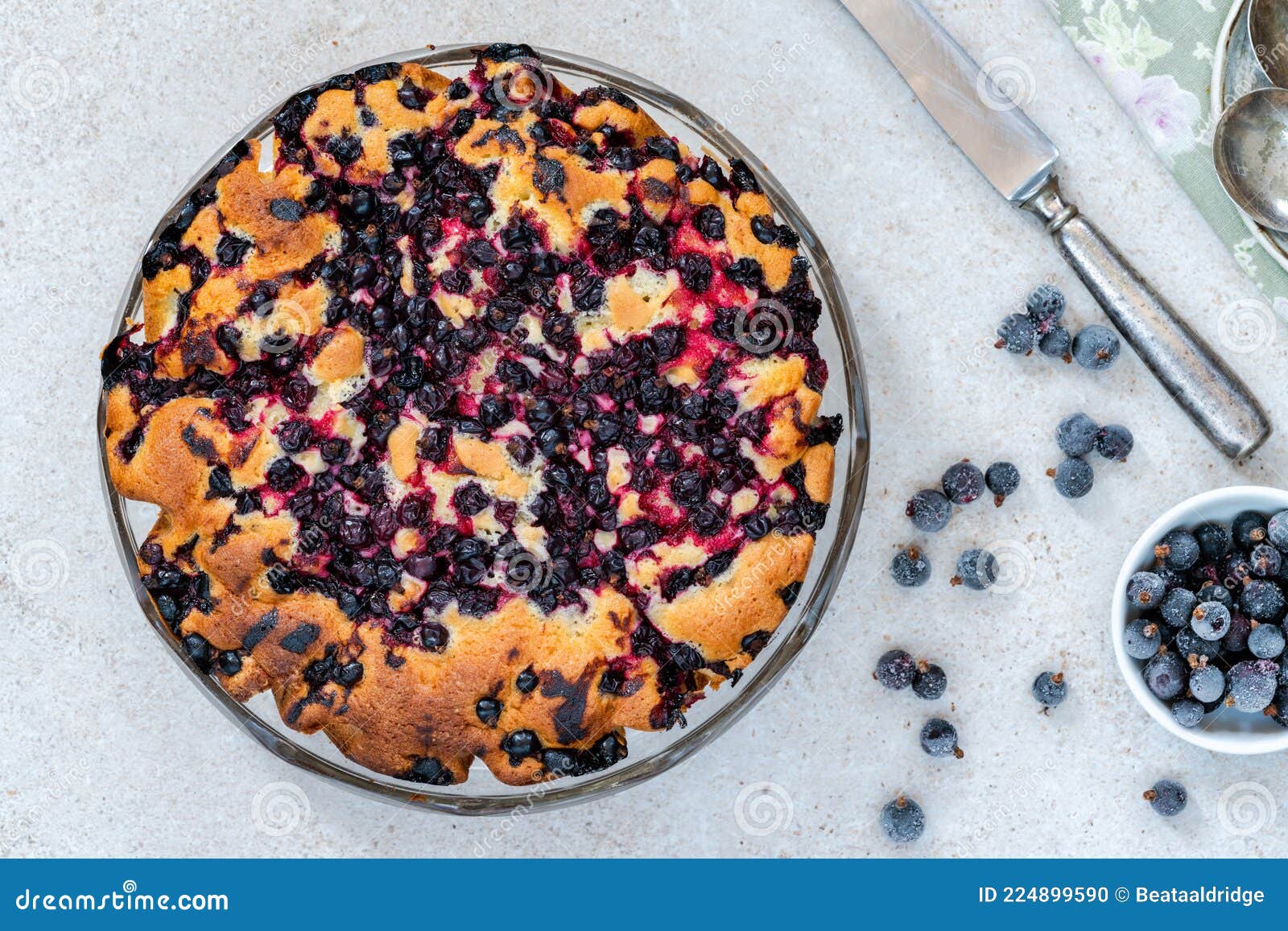 Black currant cake stock photo. Image of cake, bake - 224899590