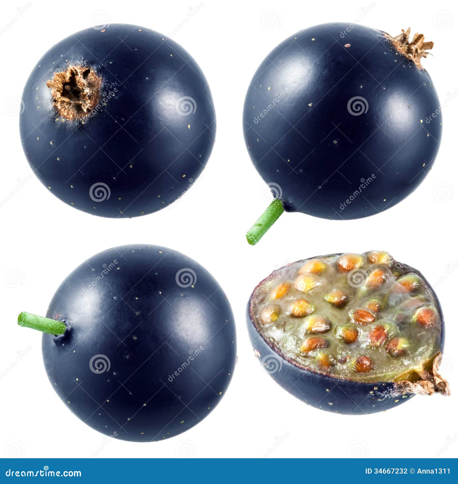 Black Currant. Collection Isolated on White Stock Photo - Image of ...