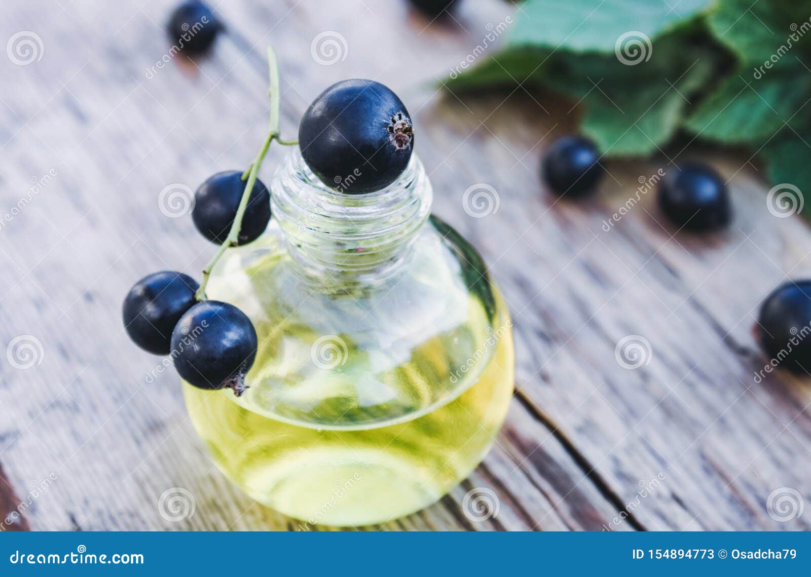 Black Currant Extract in a Glass Bottle. Medicinal Tincture with Black ...