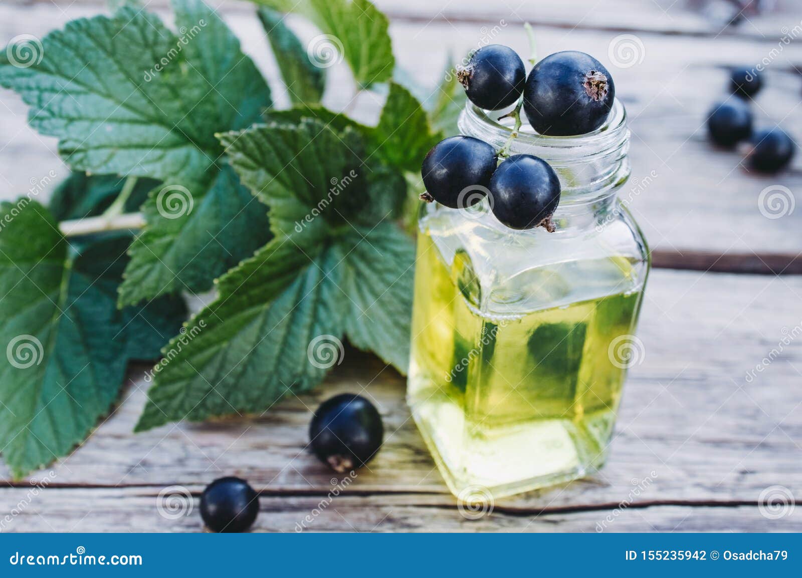 Black Currant Extract in a Glass Bottle. Medicinal Tincture with Black ...