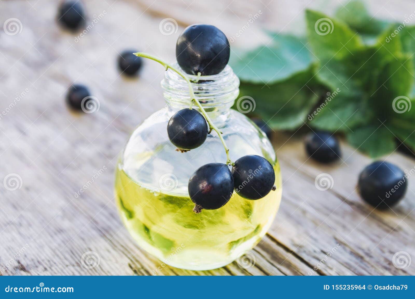 Black Currant Extract in a Glass Bottle. Medicinal Tincture with Black ...