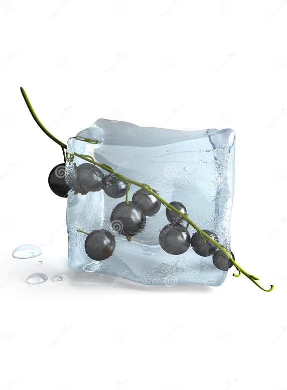 Black currant frozen stock illustration. Illustration of tropical - 9093550