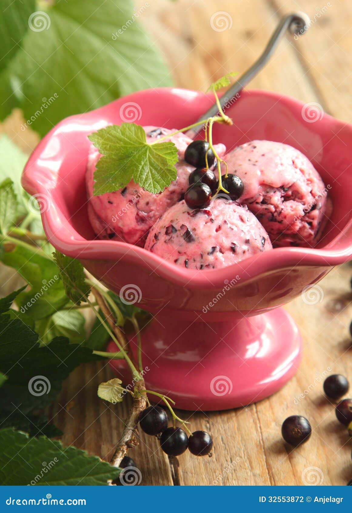 Black currant ice cream. stock photo. Image of cream - 32553872