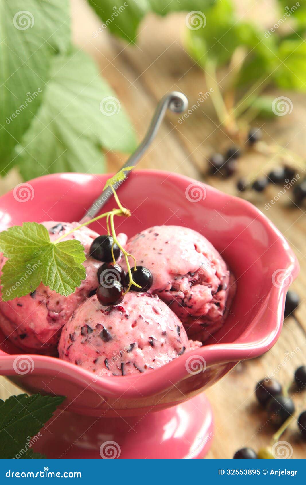 Black currant ice cream. stock image. Image of gourmet - 32553895