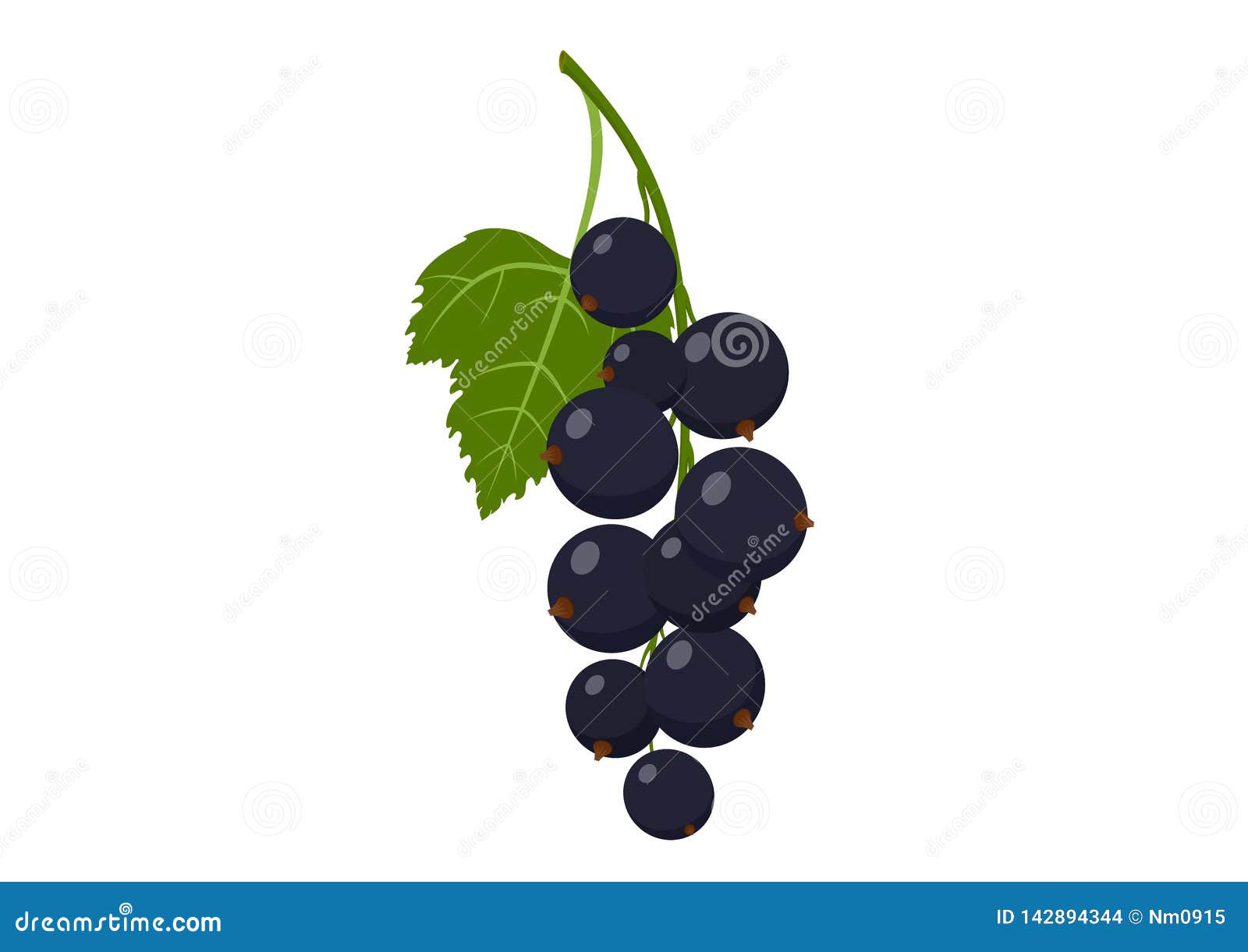 Black Currant Isolated Vector Image of Garden Berry Fruit Stock Vector ...