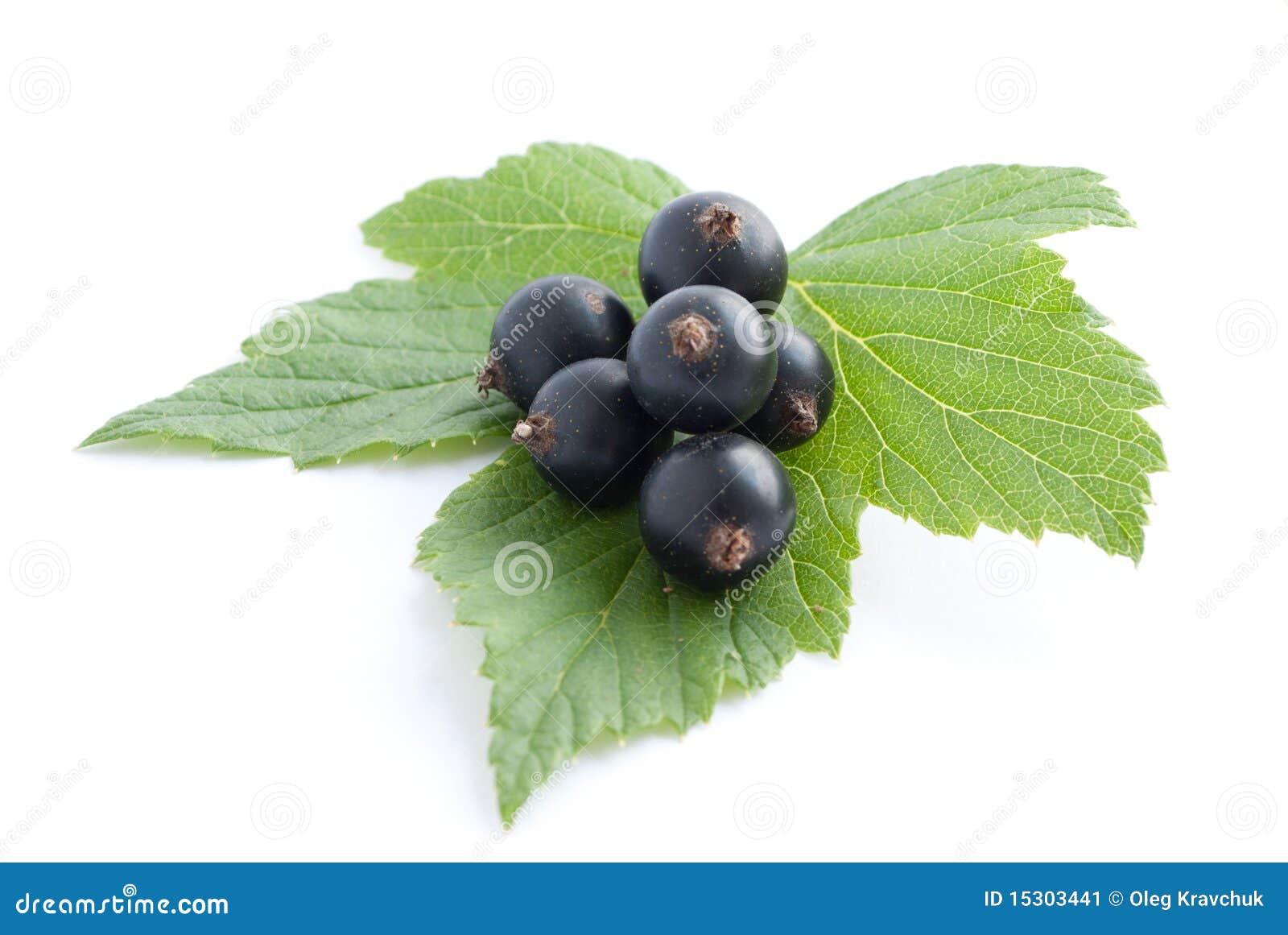 Black currant with leaves stock image. Image of ingredient - 15303441