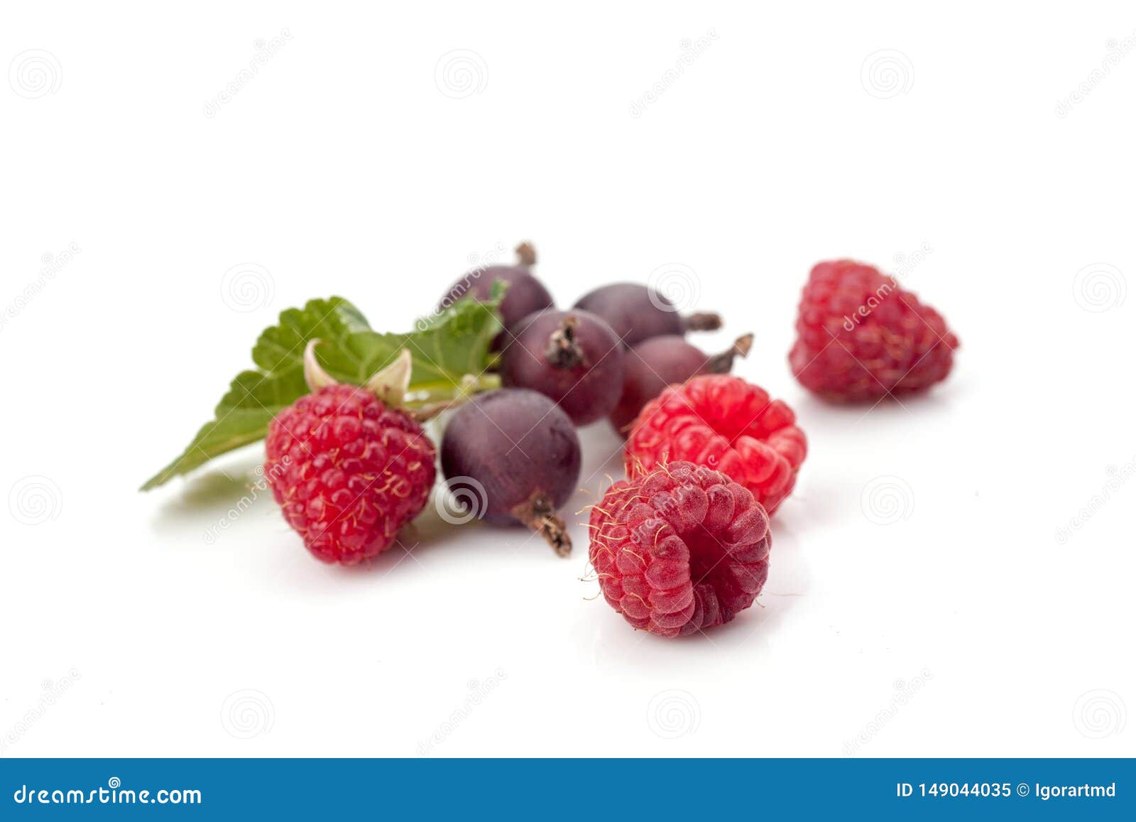 Black Currant with Raspberry Stock Image - Image of fruit, leaves ...