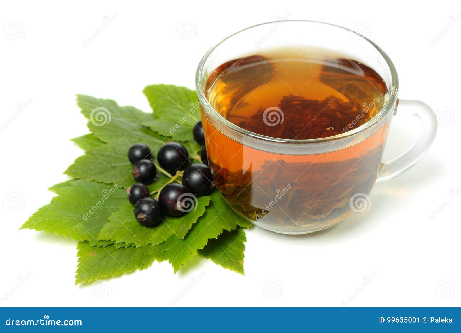 Black currant tea stock image. Image of currant, black - 99635001