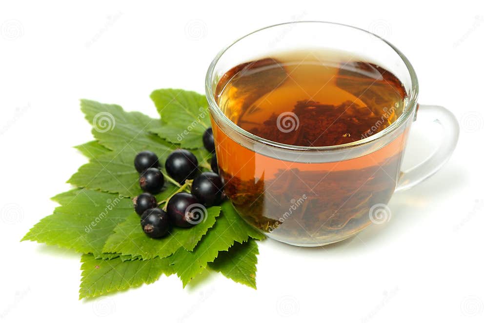 Black currant tea stock image. Image of currant, black - 99635001