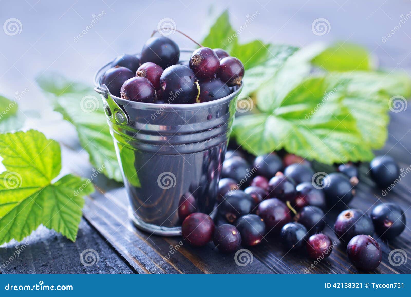 Black currant stock image. Image of color, nature, gourmet - 42138321