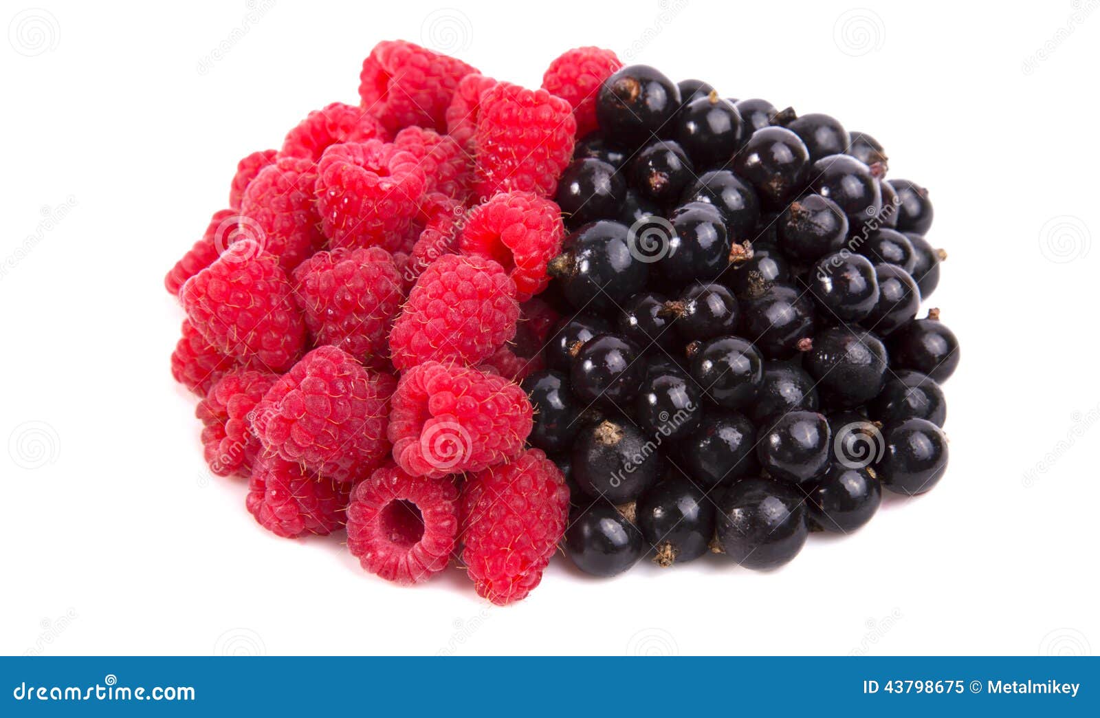 Black Currants and Raspberries Stock Image - Image of fruit, group ...
