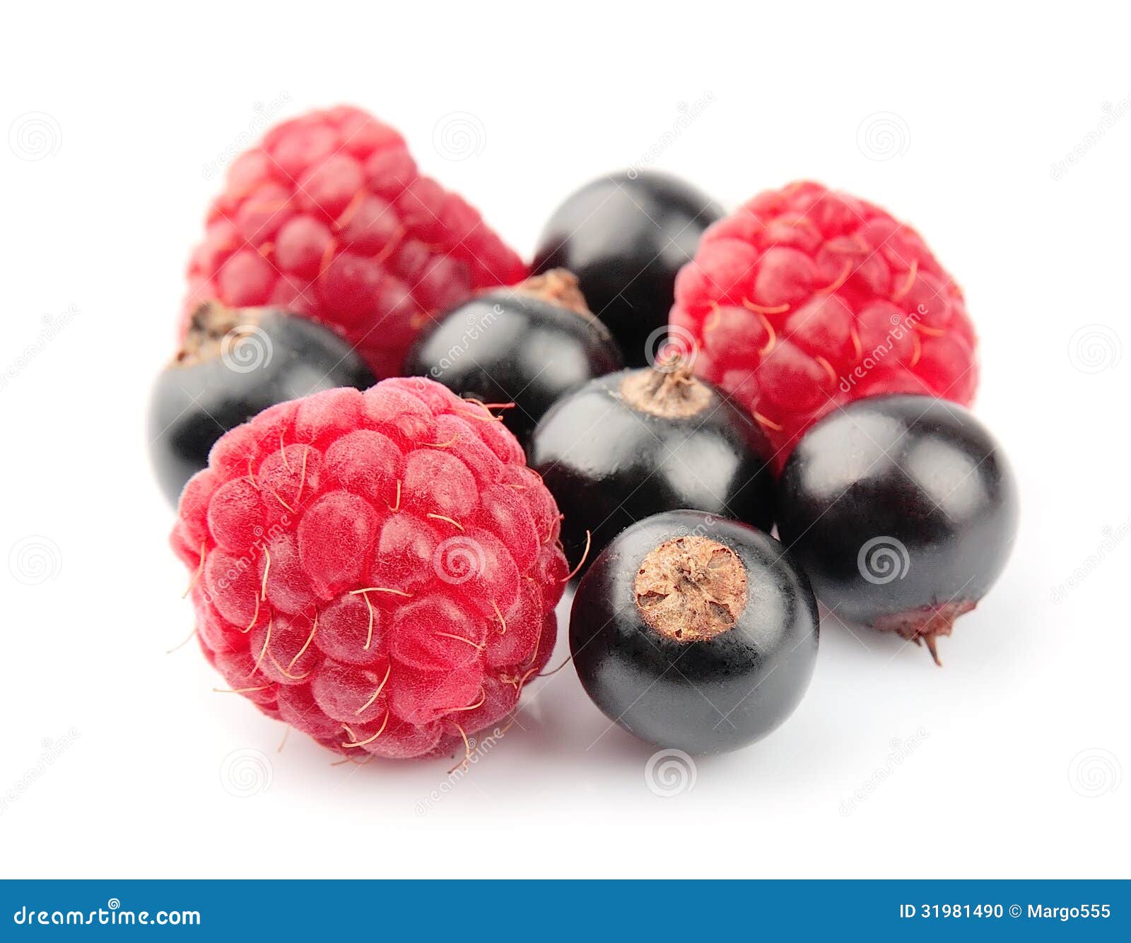 Black Currants with Raspberry Stock Photo - Image of closeup ...