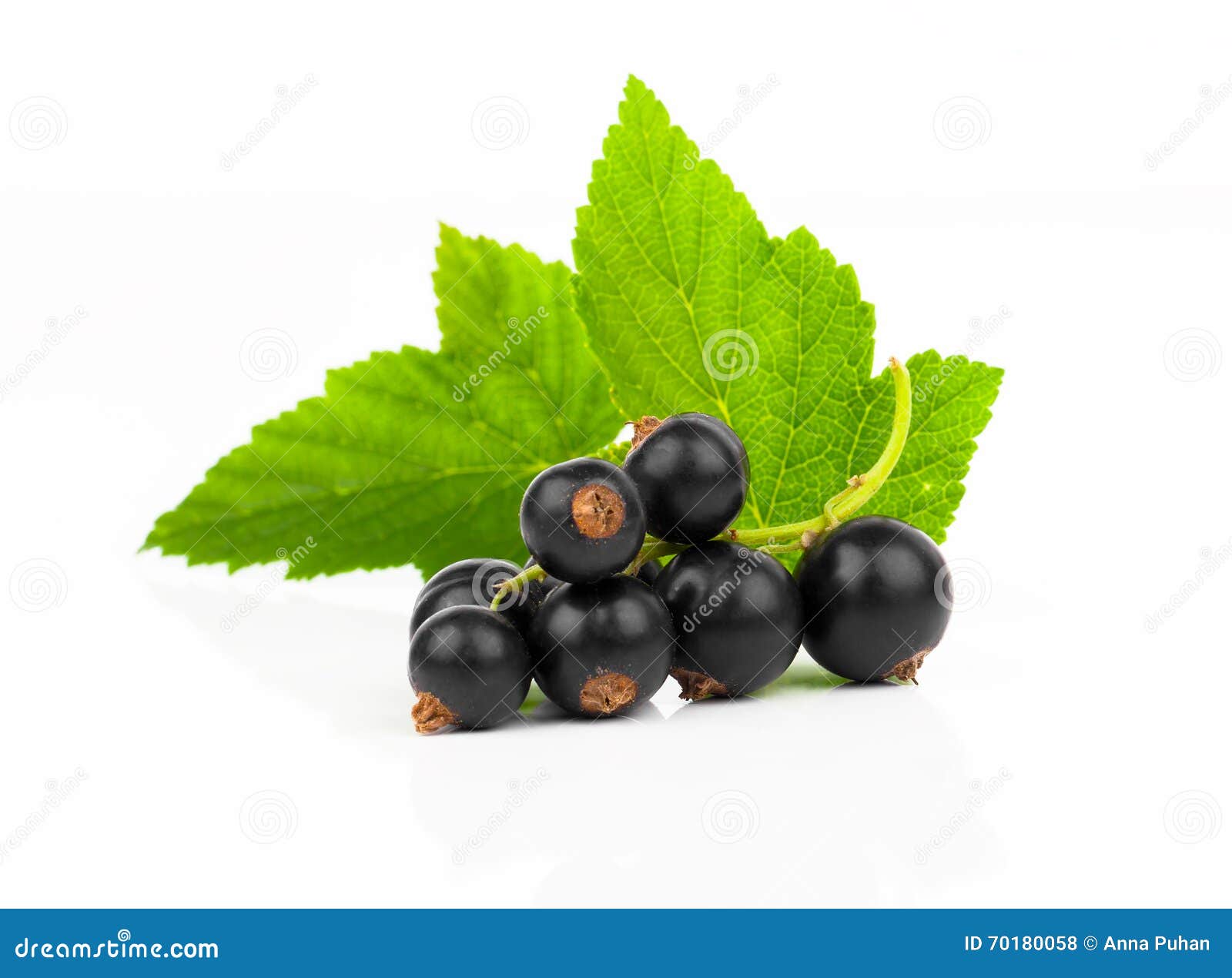 Black currants stock photo. Image of closeup, blackcurrants - 70180058