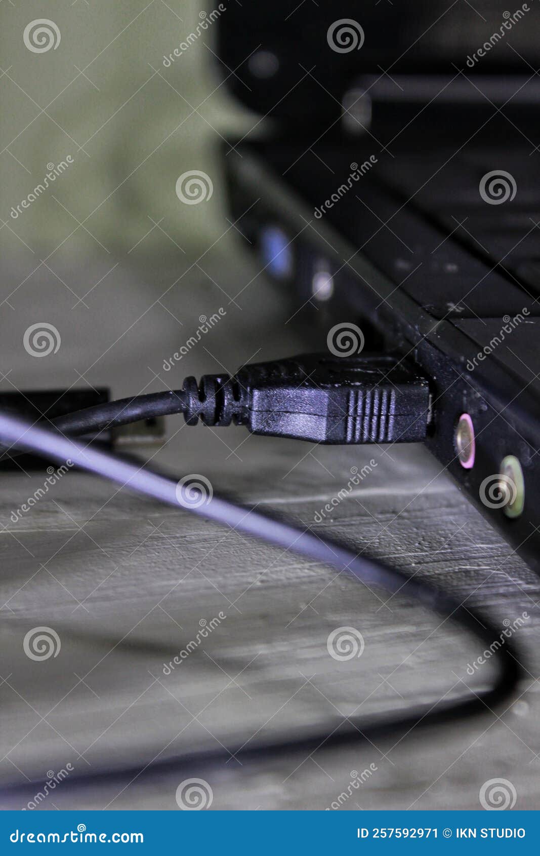 Black Data Connector Usb Plug Laptop Stock Image - Image of connector ...