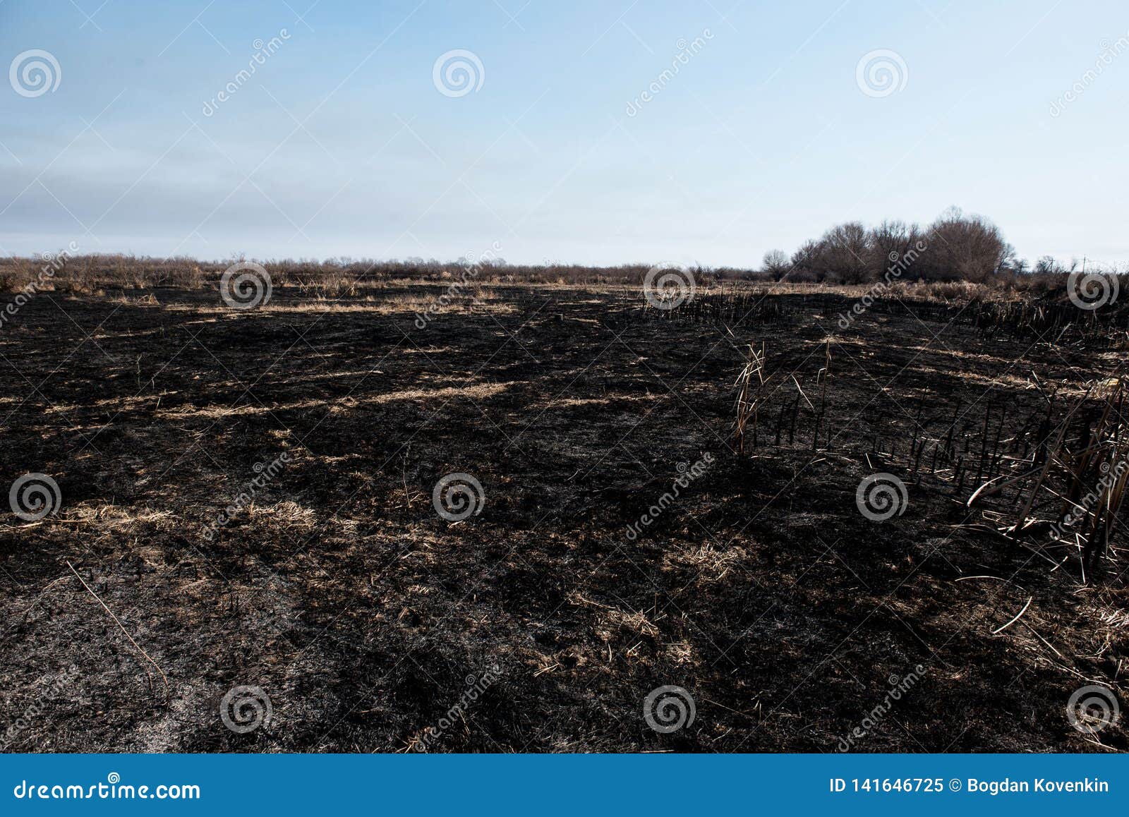 Black dead burned field stock image. Image of burnt - 141646725