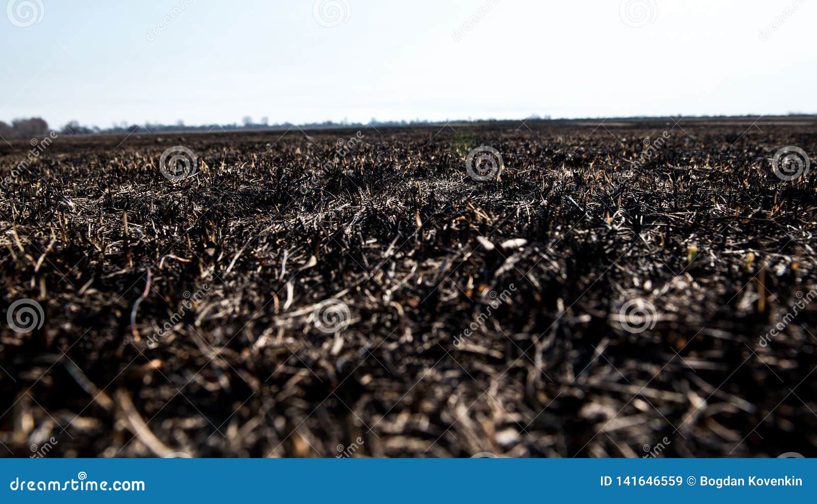 Black dead burned field stock image. Image of black - 141646559