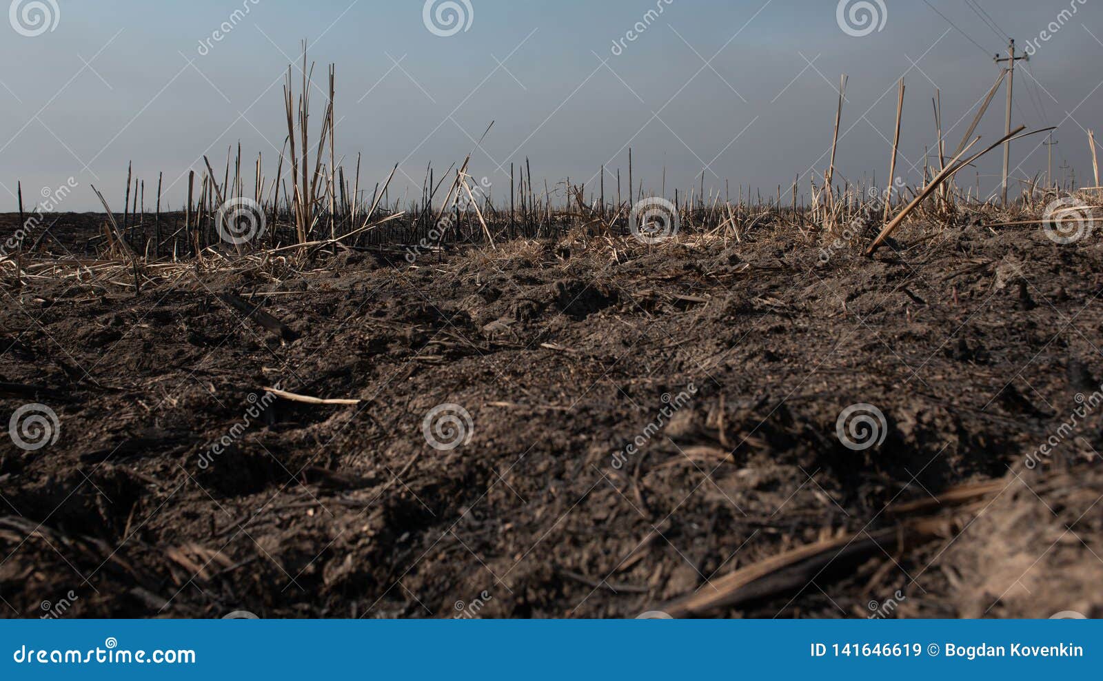 Black dead burned field stock image. Image of field - 141646619