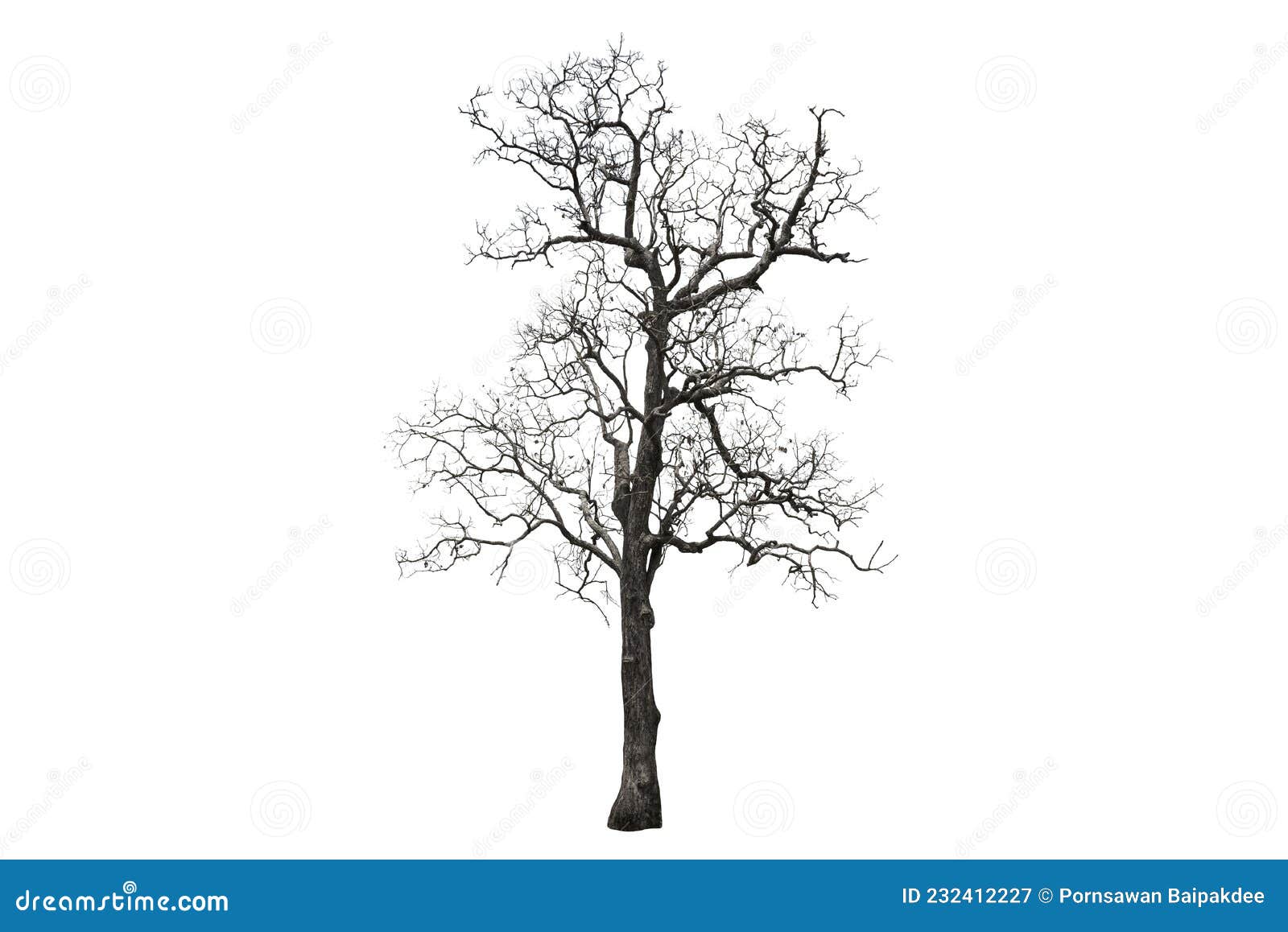 Black dead tree branches stock image. Image of lonely - 232412227