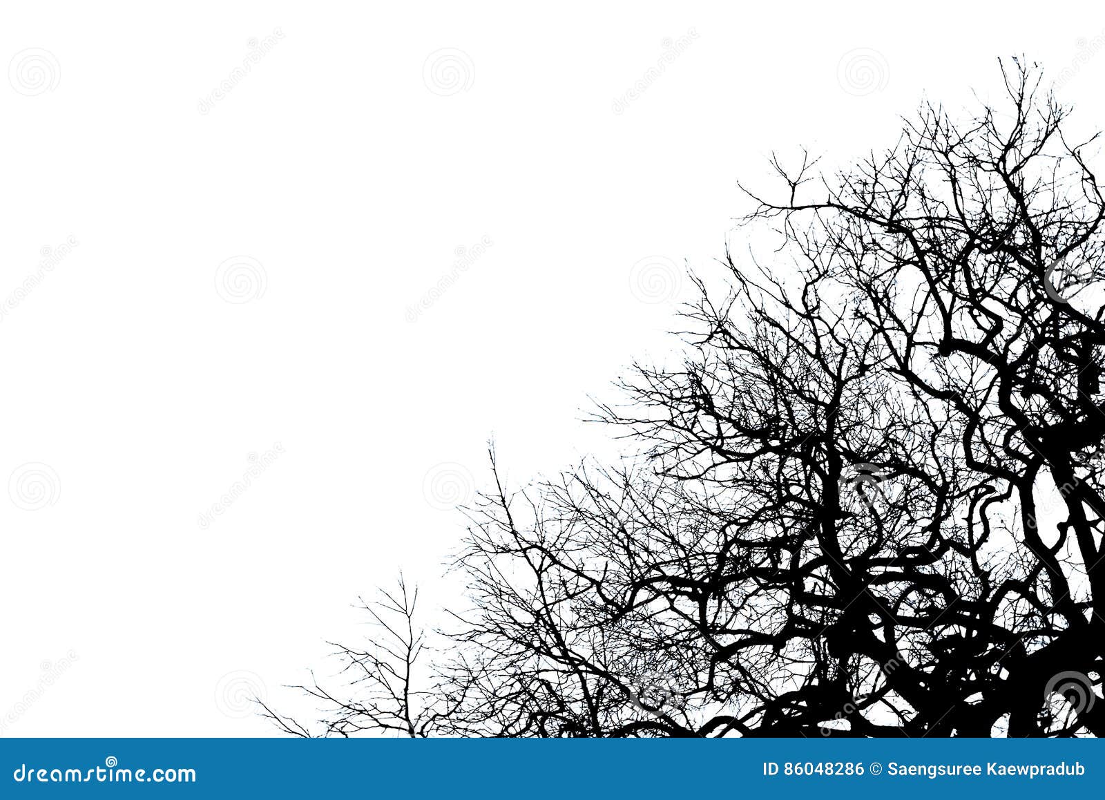 Black dead tree silhouette stock photo. Image of growth - 86048286