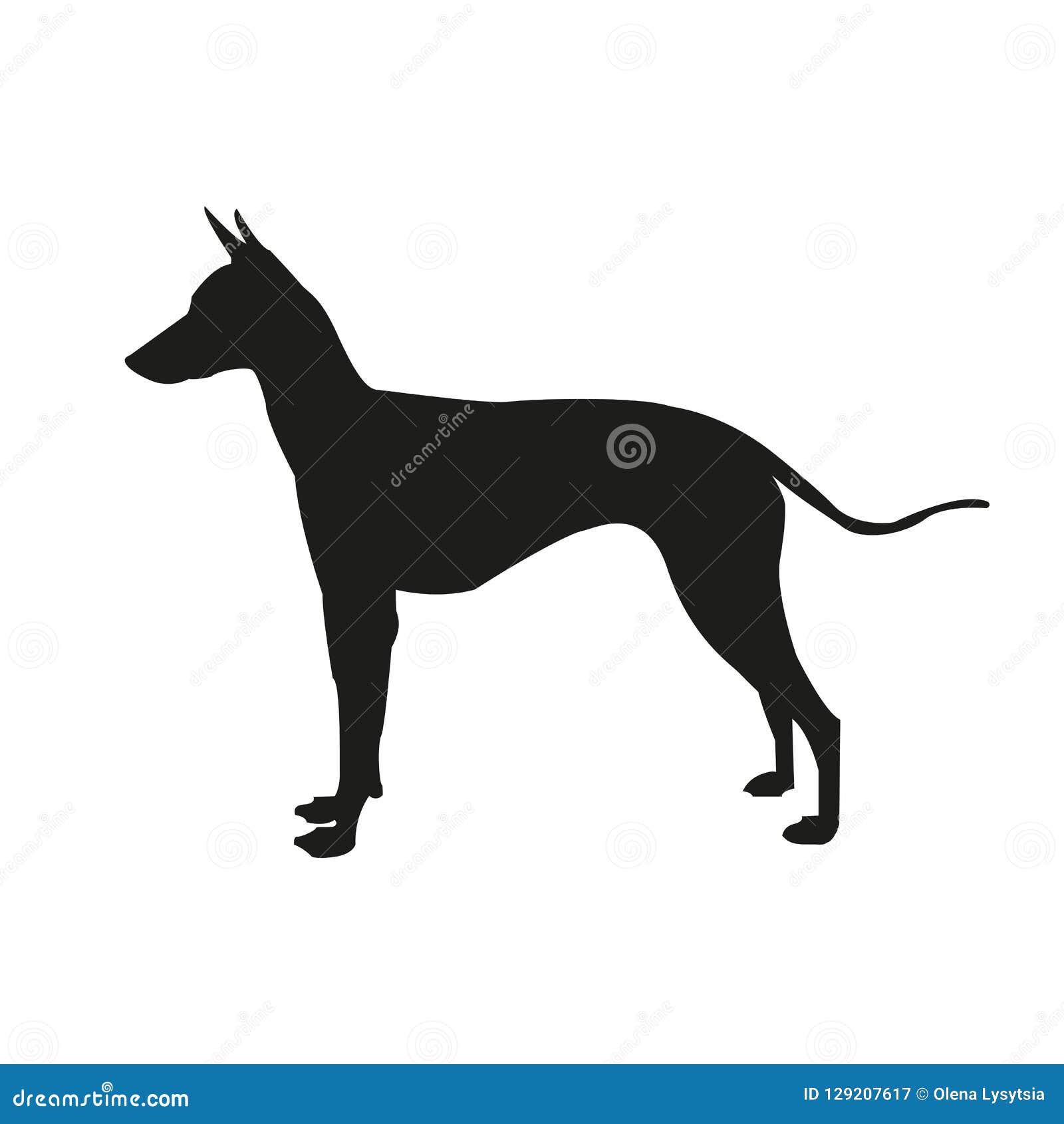 Black Dog vector stock vector. Illustration of profile - 129207617