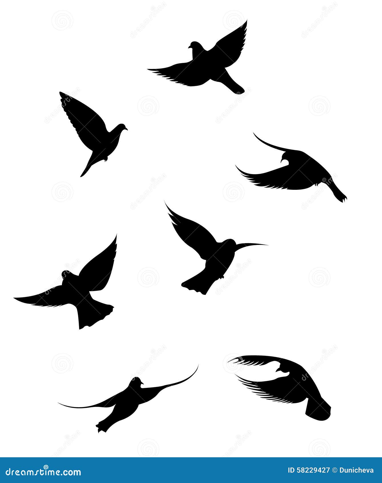 Black Doves Silhouette On White Background Vector Illustration ...