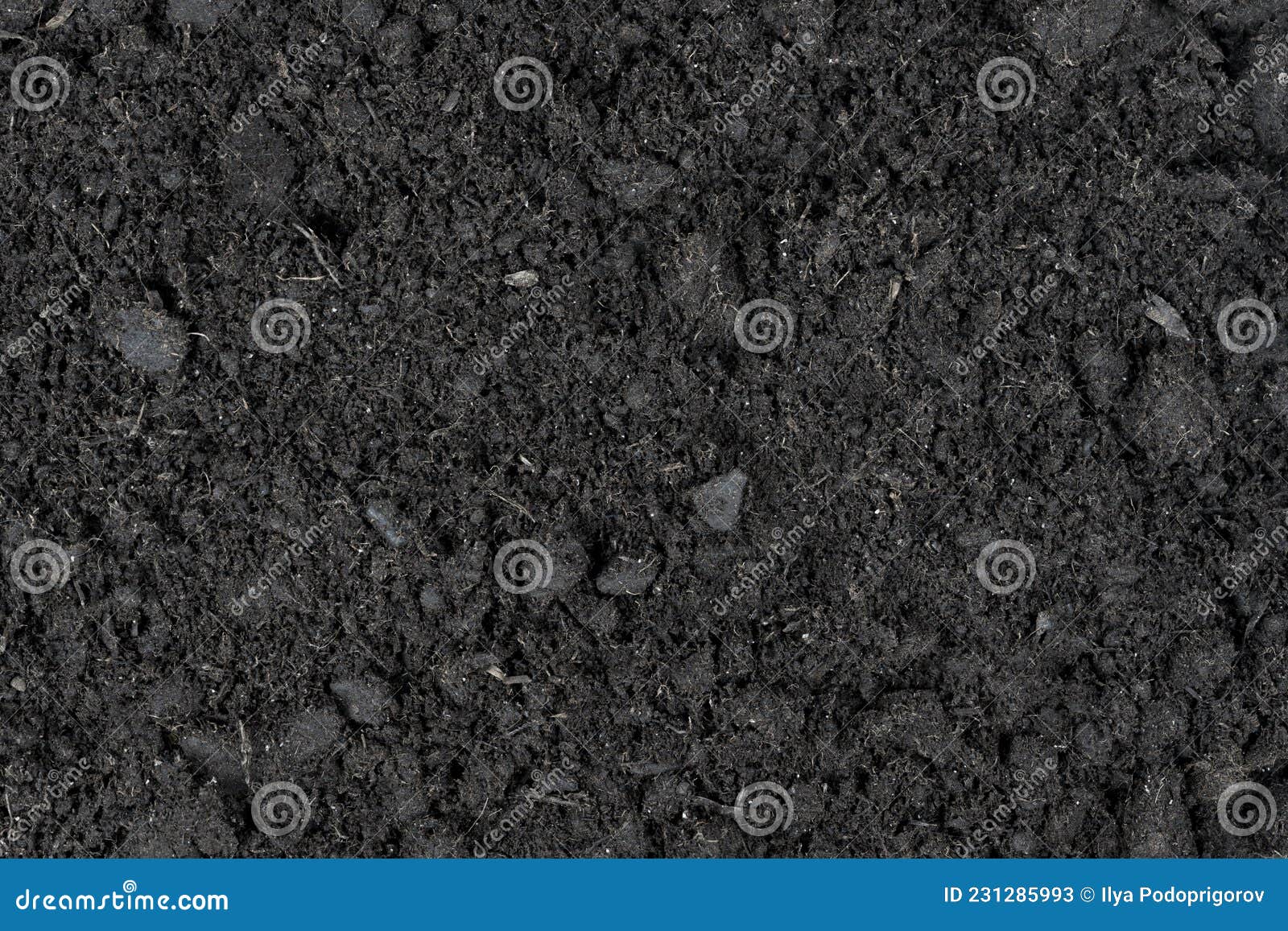 Black Earth Texture Background. Soil Texture. Black Land for Plant ...